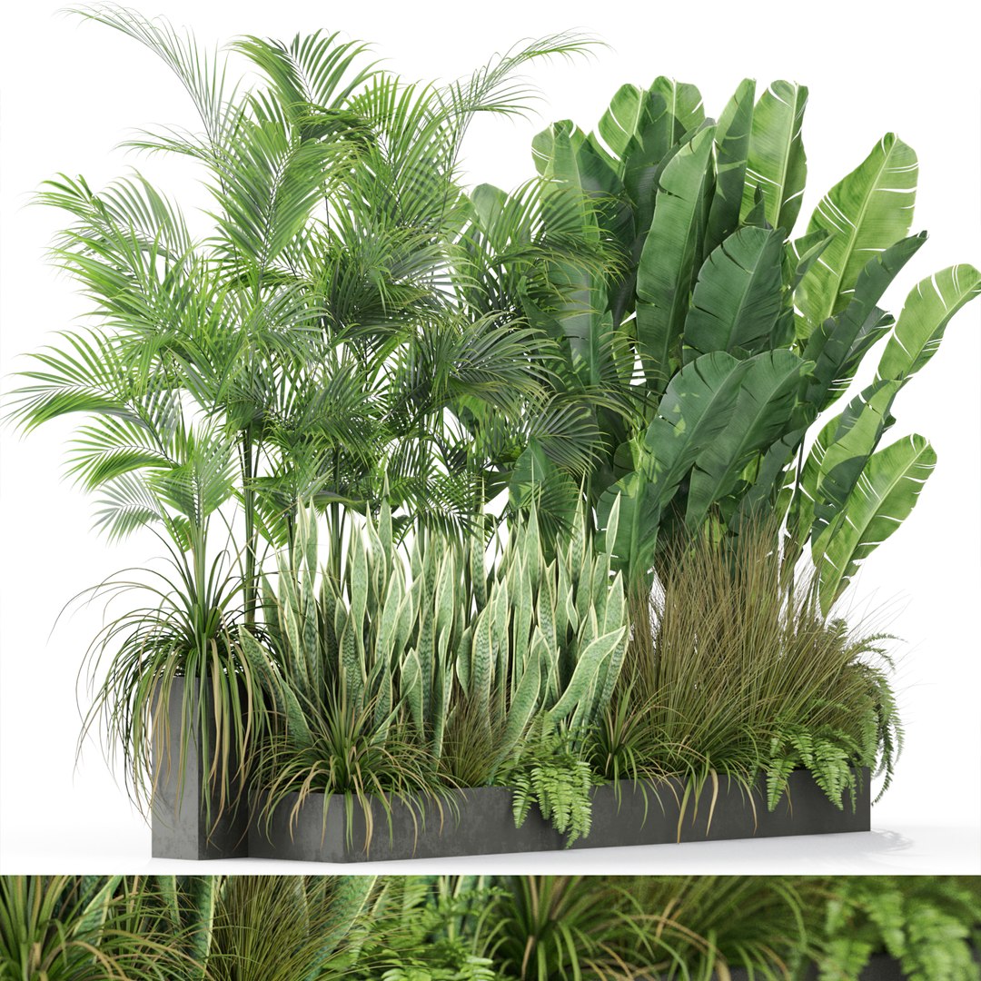 3D Model Plants Collection 586 - TurboSquid 1860407