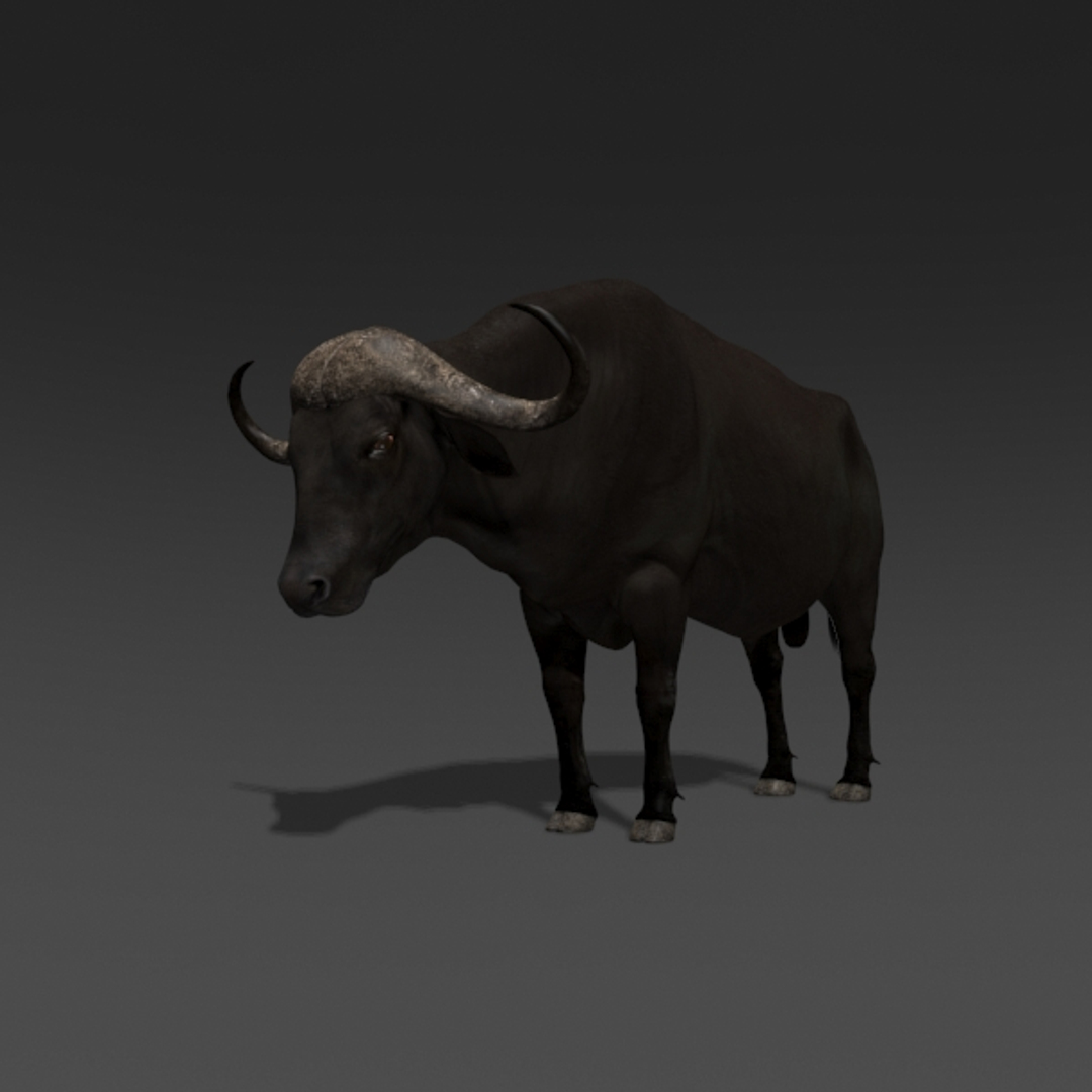 3d buffalo animations model