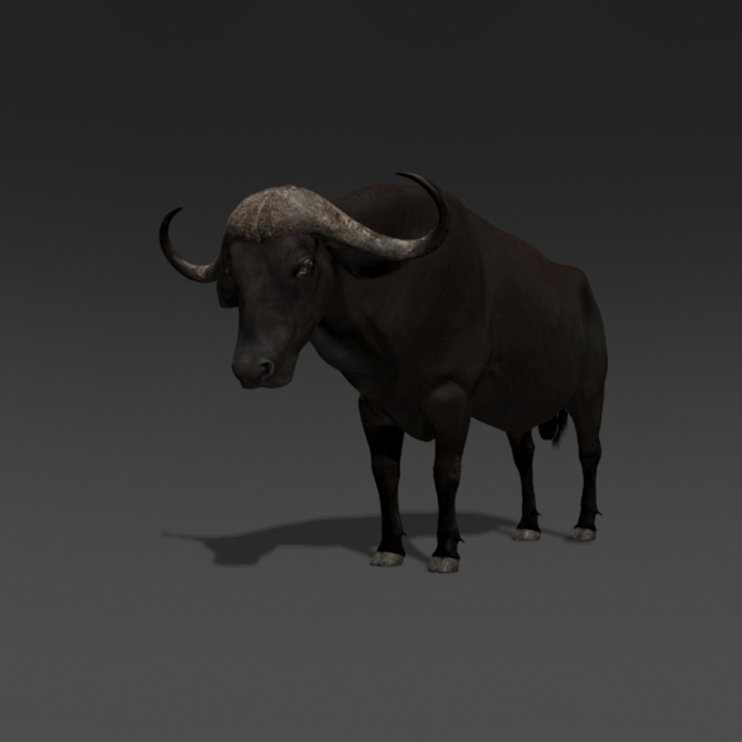 3d buffalo animations model