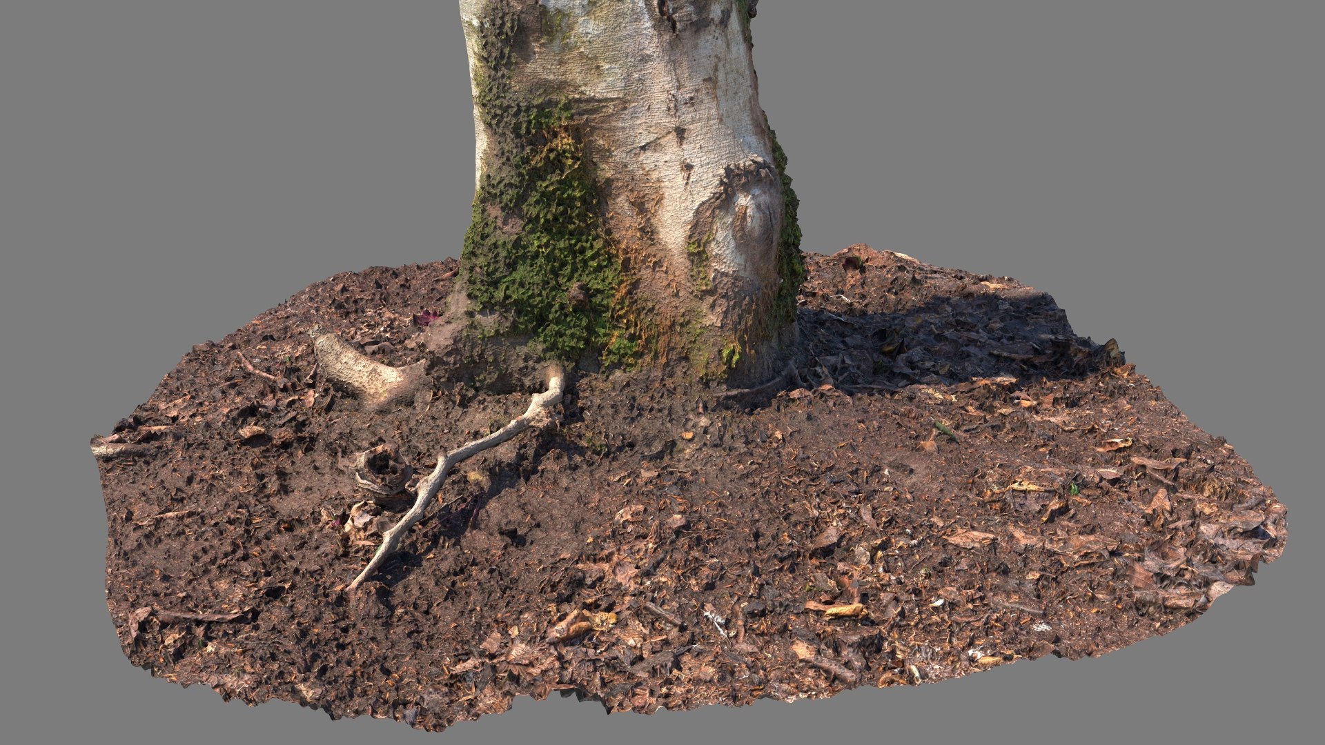 Forest Tree Trunks Collection 3D model - TurboSquid 2171184