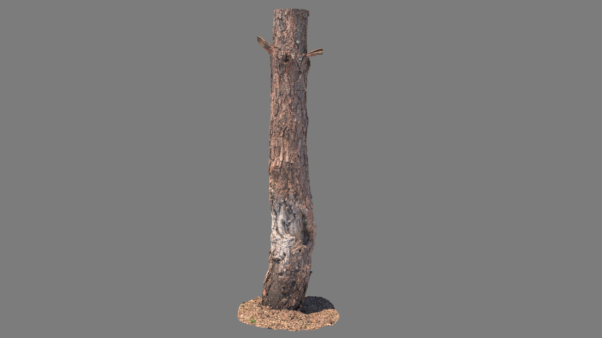 Forest Tree Trunks Collection 3D Model - TurboSquid 2171184