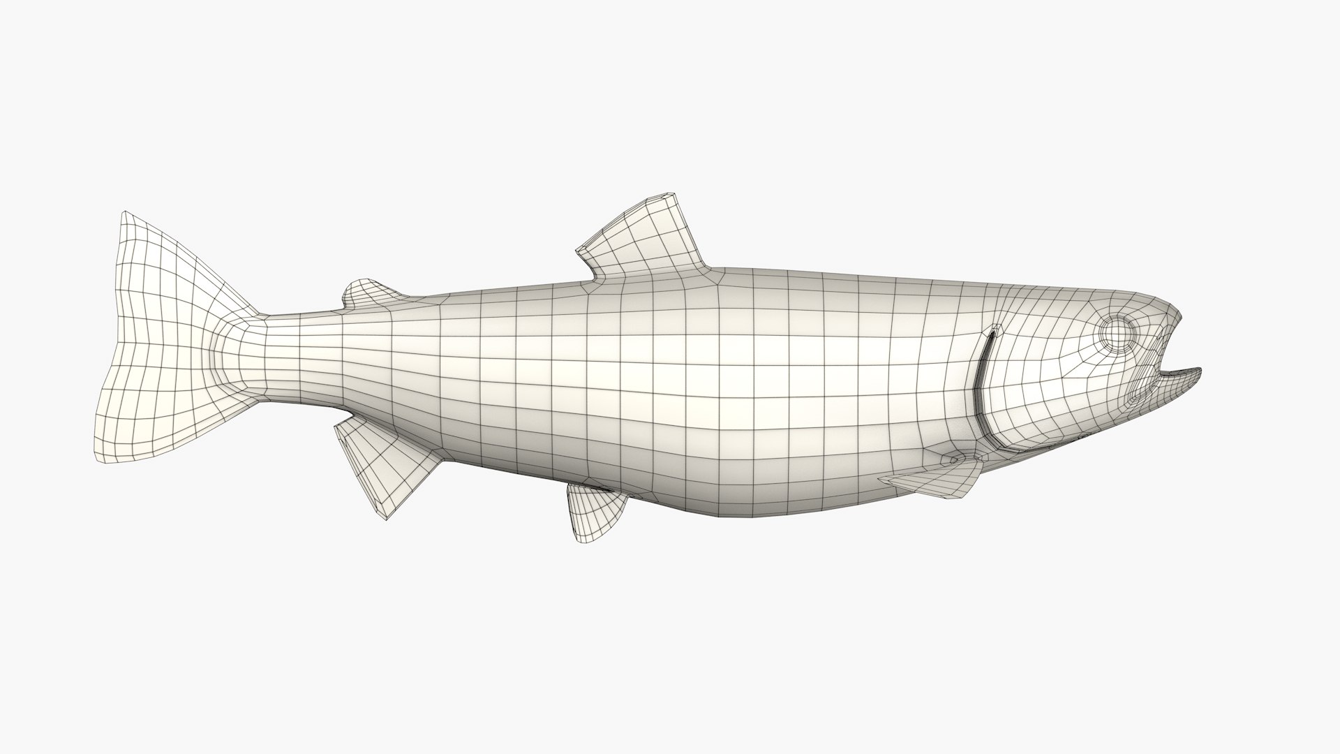 3D model Trout - TurboSquid 1752055