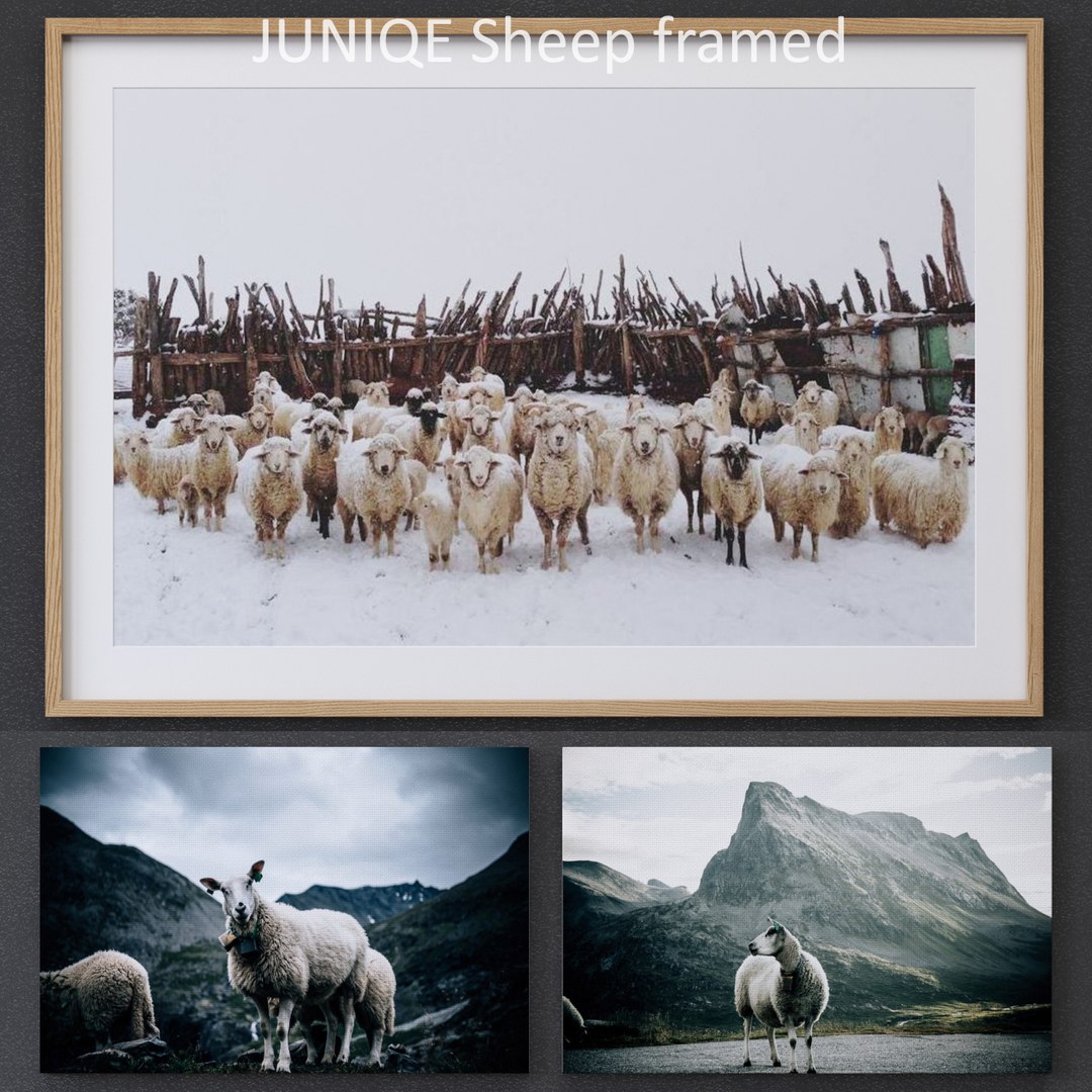 Juniqe Sheep Framed 3D Model - TurboSquid 1156937