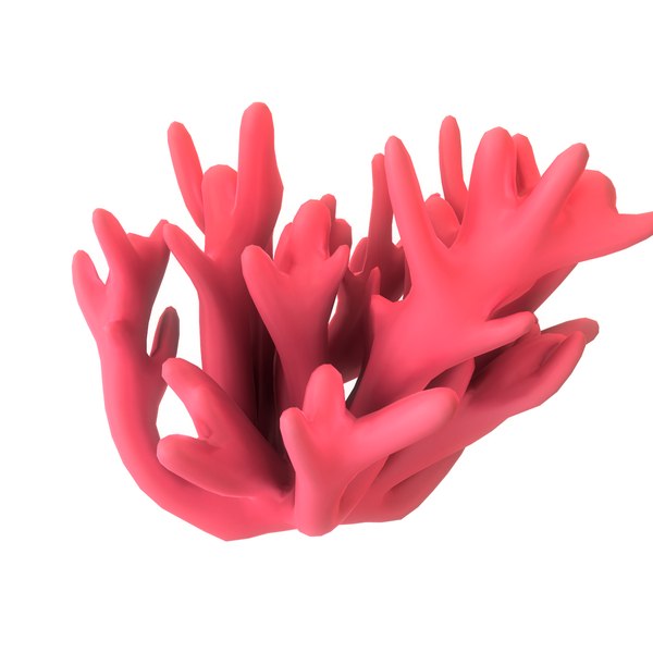 Modeled coral model - TurboSquid 1425232