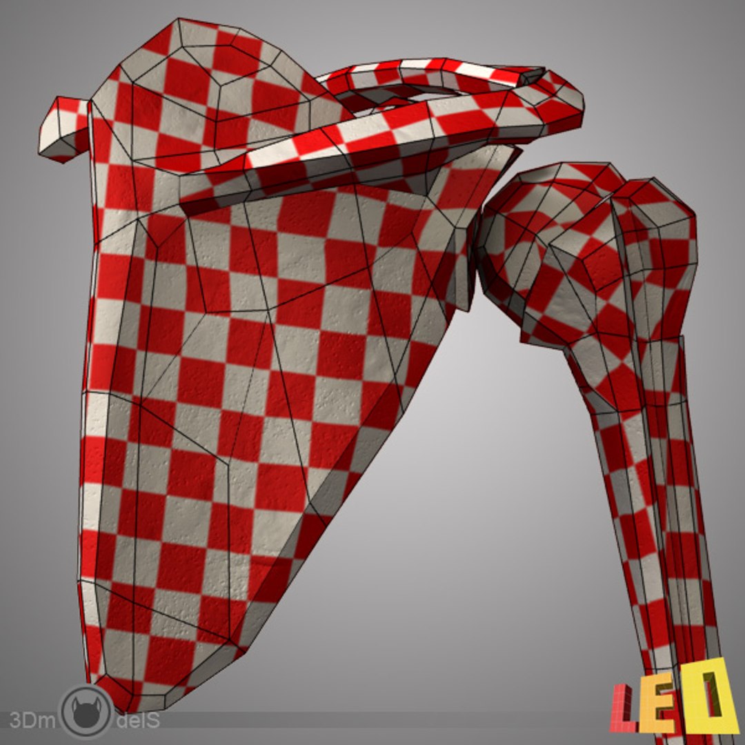 Human Arm Skeleton 2 3d 3ds