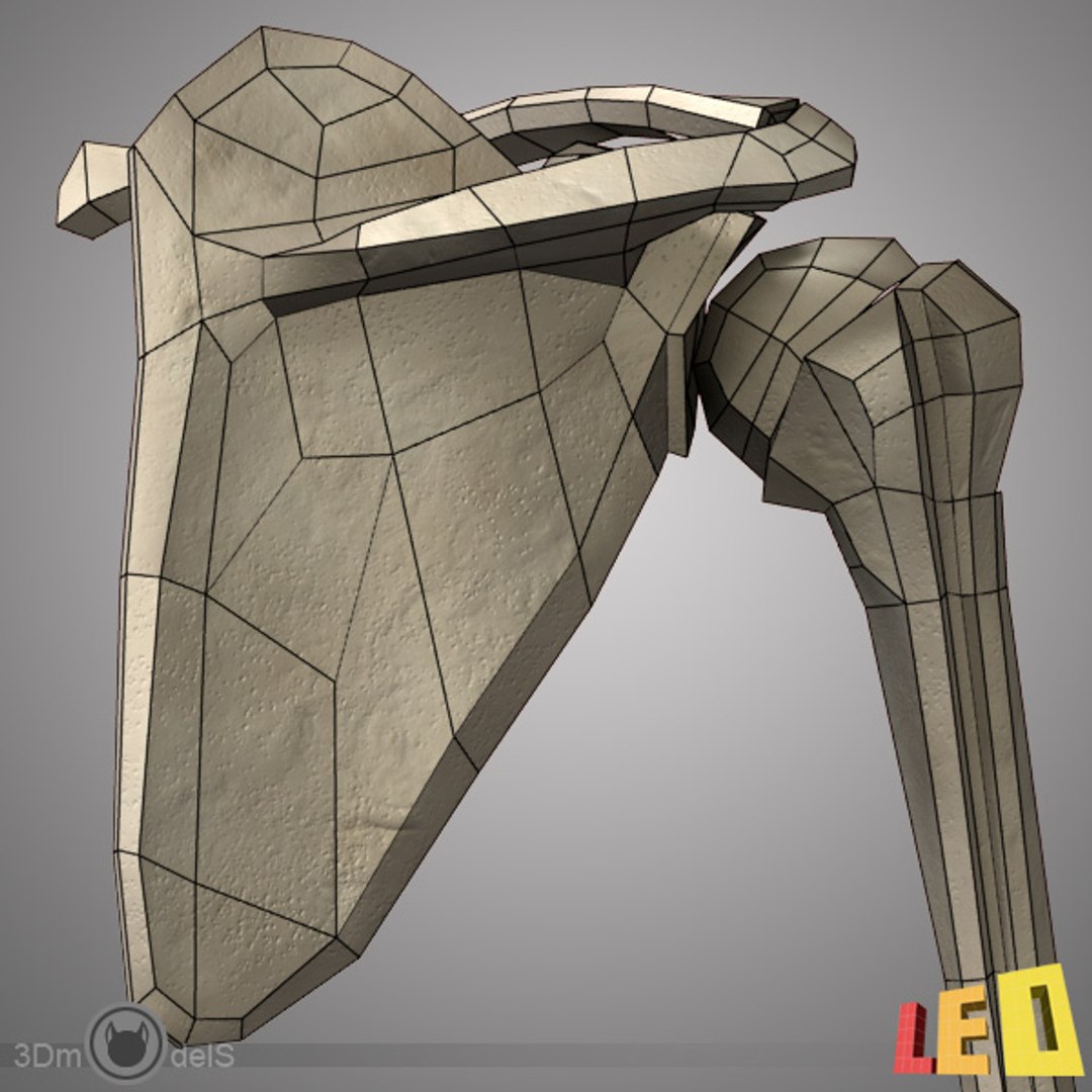 Human Arm Skeleton 2 3d 3ds