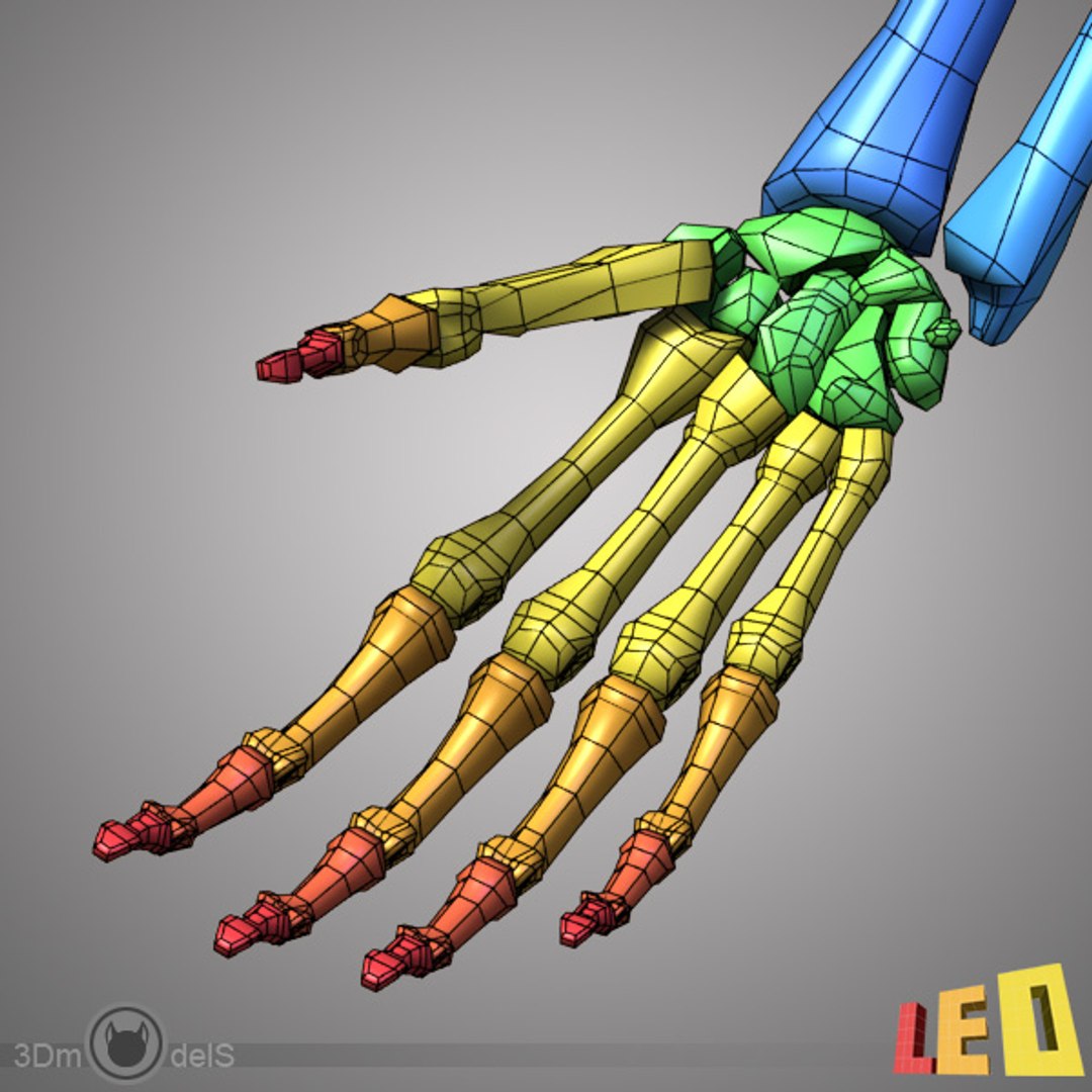 Human Arm Skeleton 2 3d 3ds