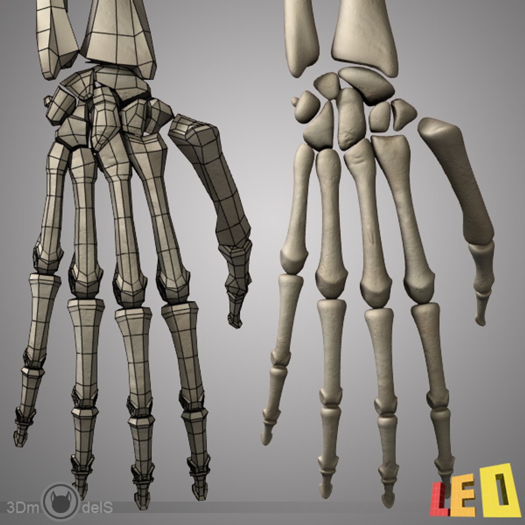 Human Arm Skeleton 2 3d 3ds
