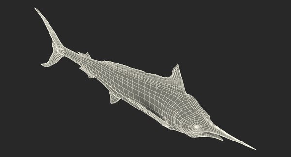 3d blue marlin