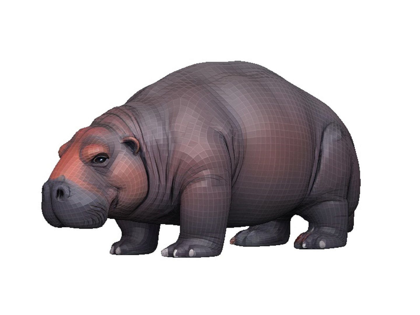 3D Manatee - TurboSquid 2435187