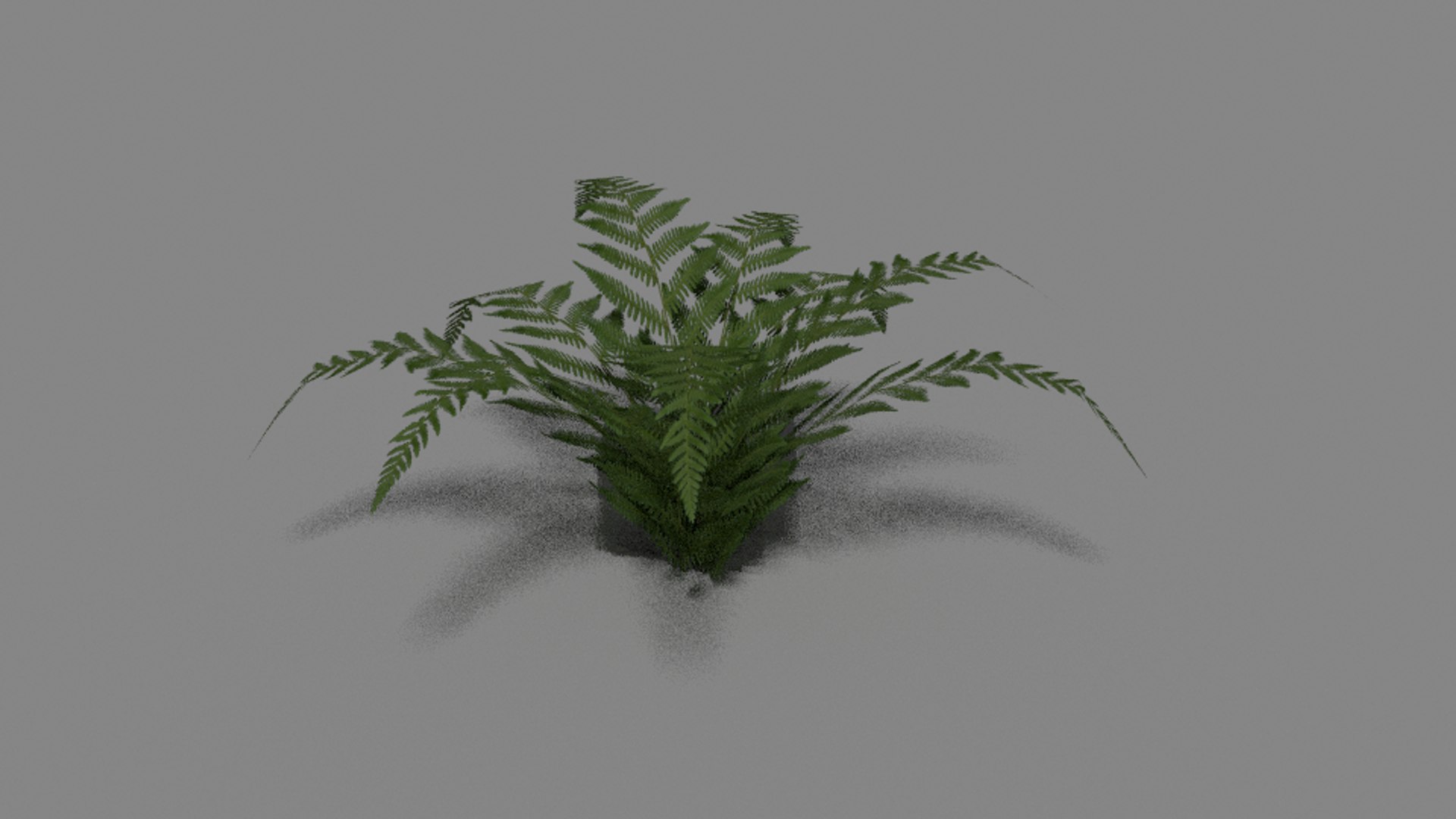 3d green fern model