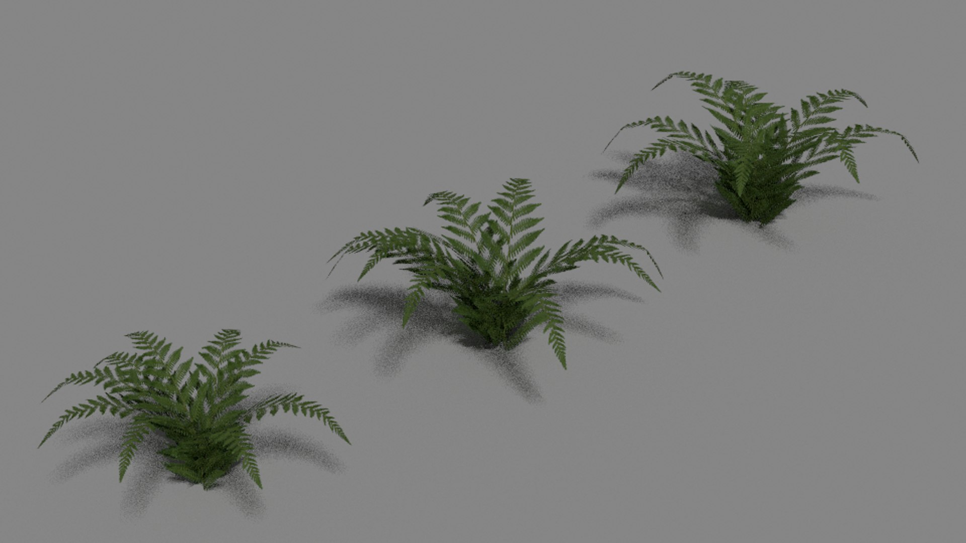 3d green fern model