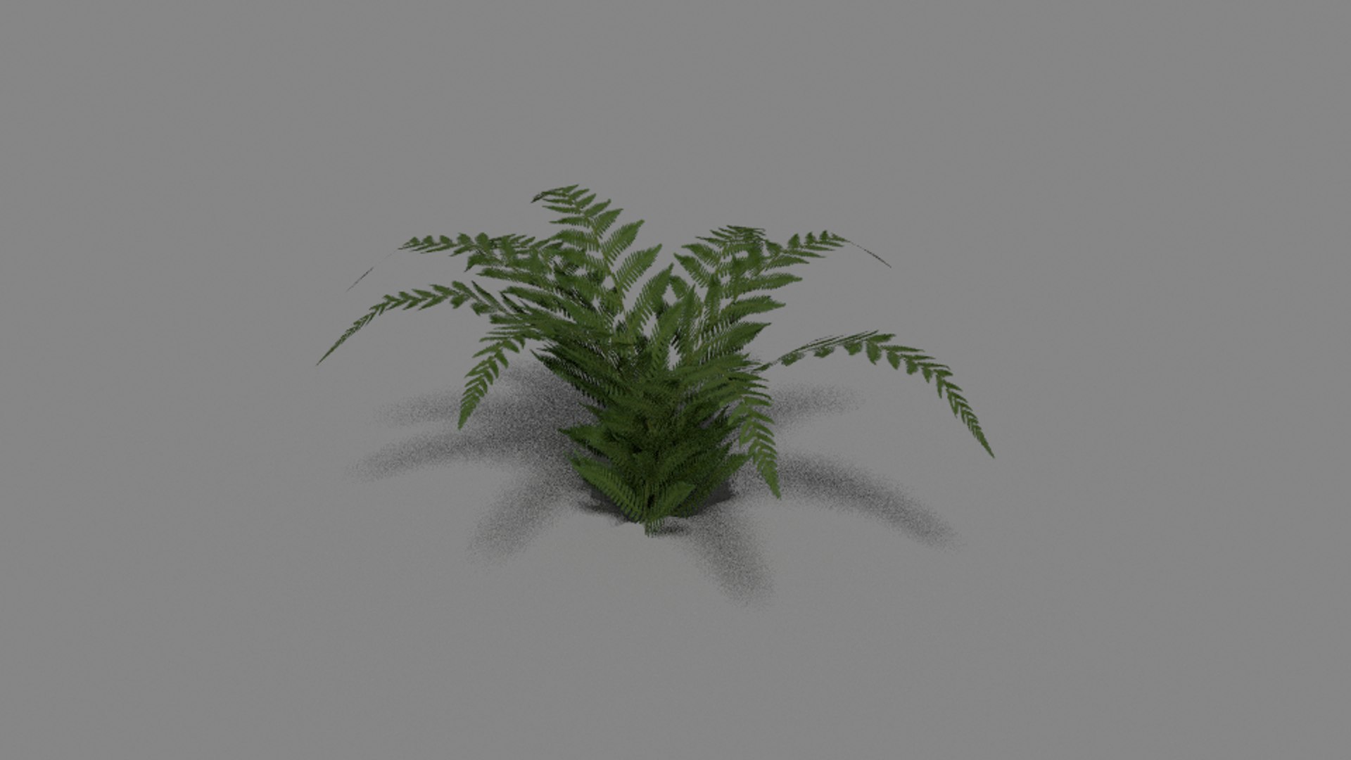 3d green fern model