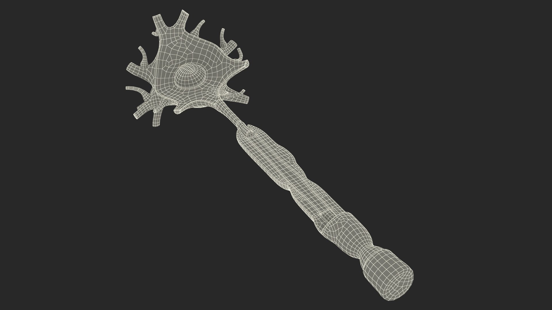 Human Brain Neuron Cross-Section Plastic 3D model - TurboSquid 2059379