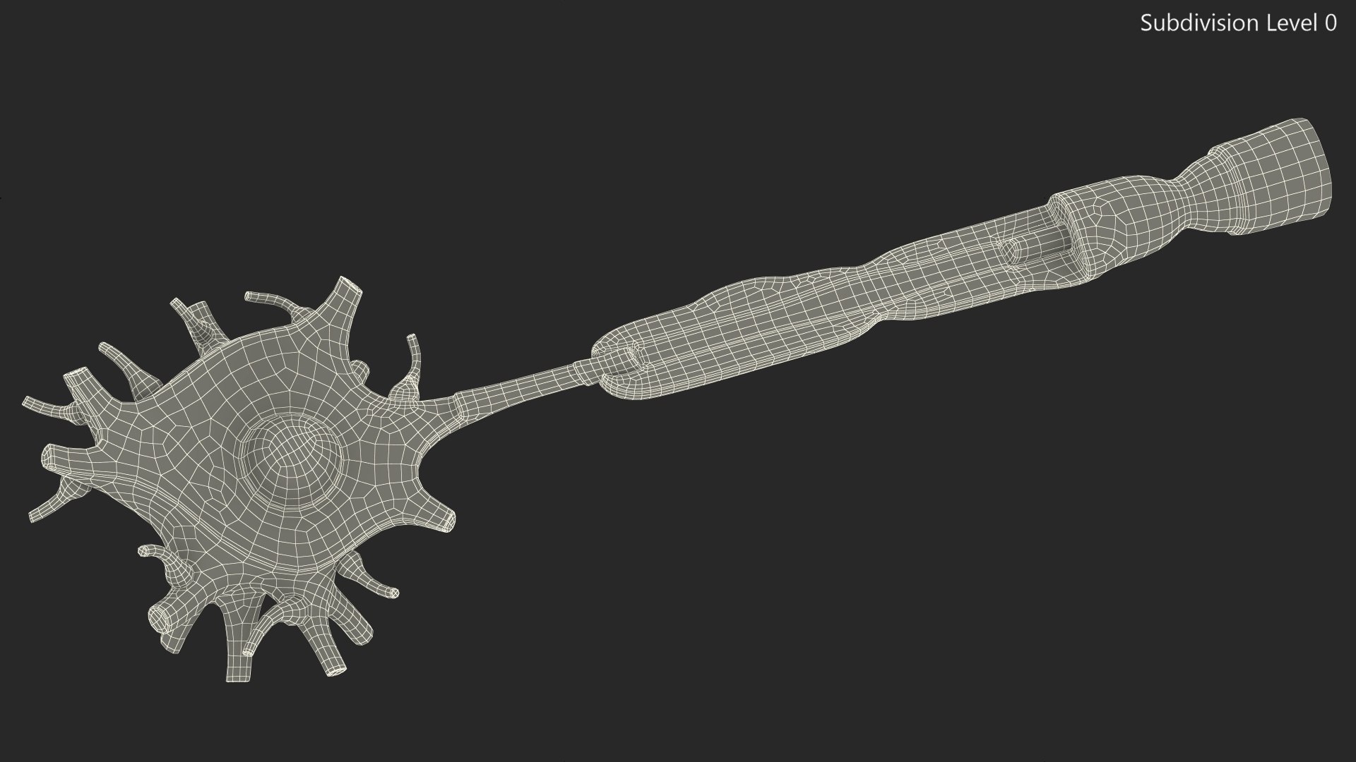 Human Brain Neuron Cross-Section Plastic 3D model - TurboSquid 2059379