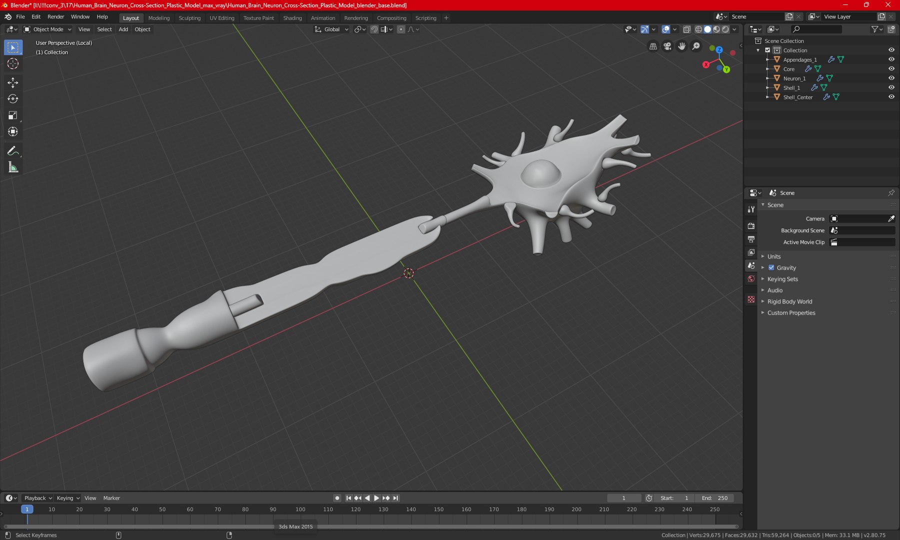 Human Brain Neuron Cross Section Plastic 3d Model Turbosquid 2059379