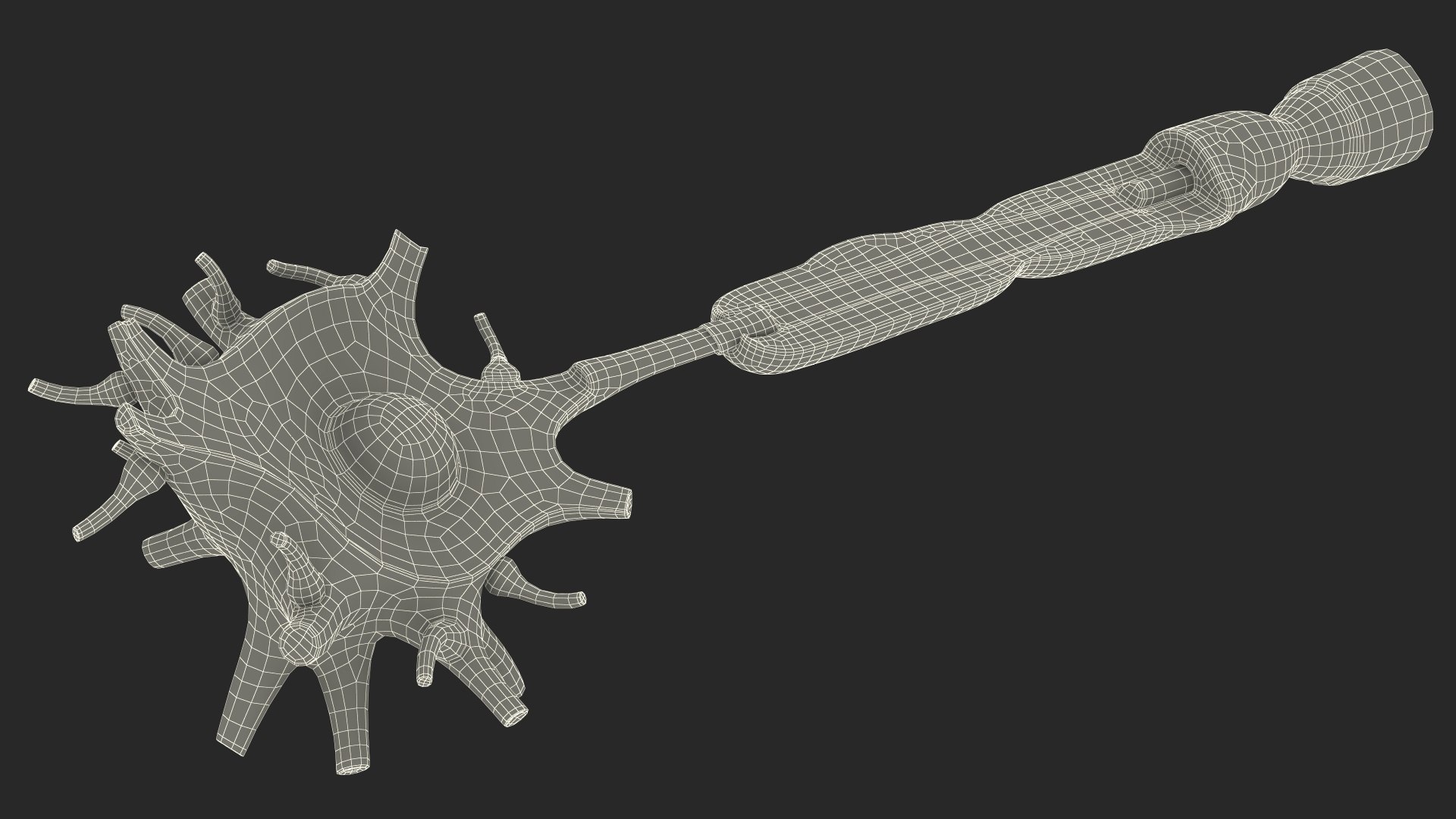 Human Brain Neuron Cross-Section Plastic 3D model - TurboSquid 2059379