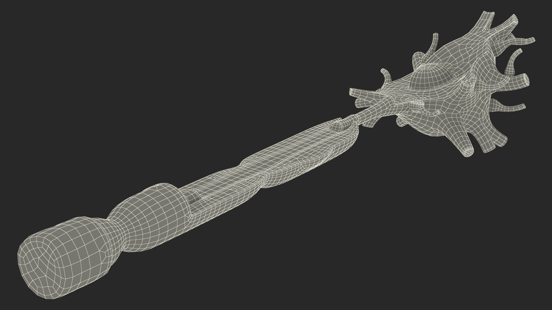 Human Brain Neuron Cross-Section Plastic 3D model - TurboSquid 2059379