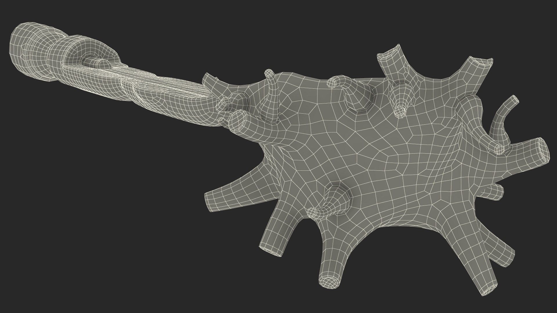 Human Brain Neuron Cross-Section Plastic 3D model - TurboSquid 2059379