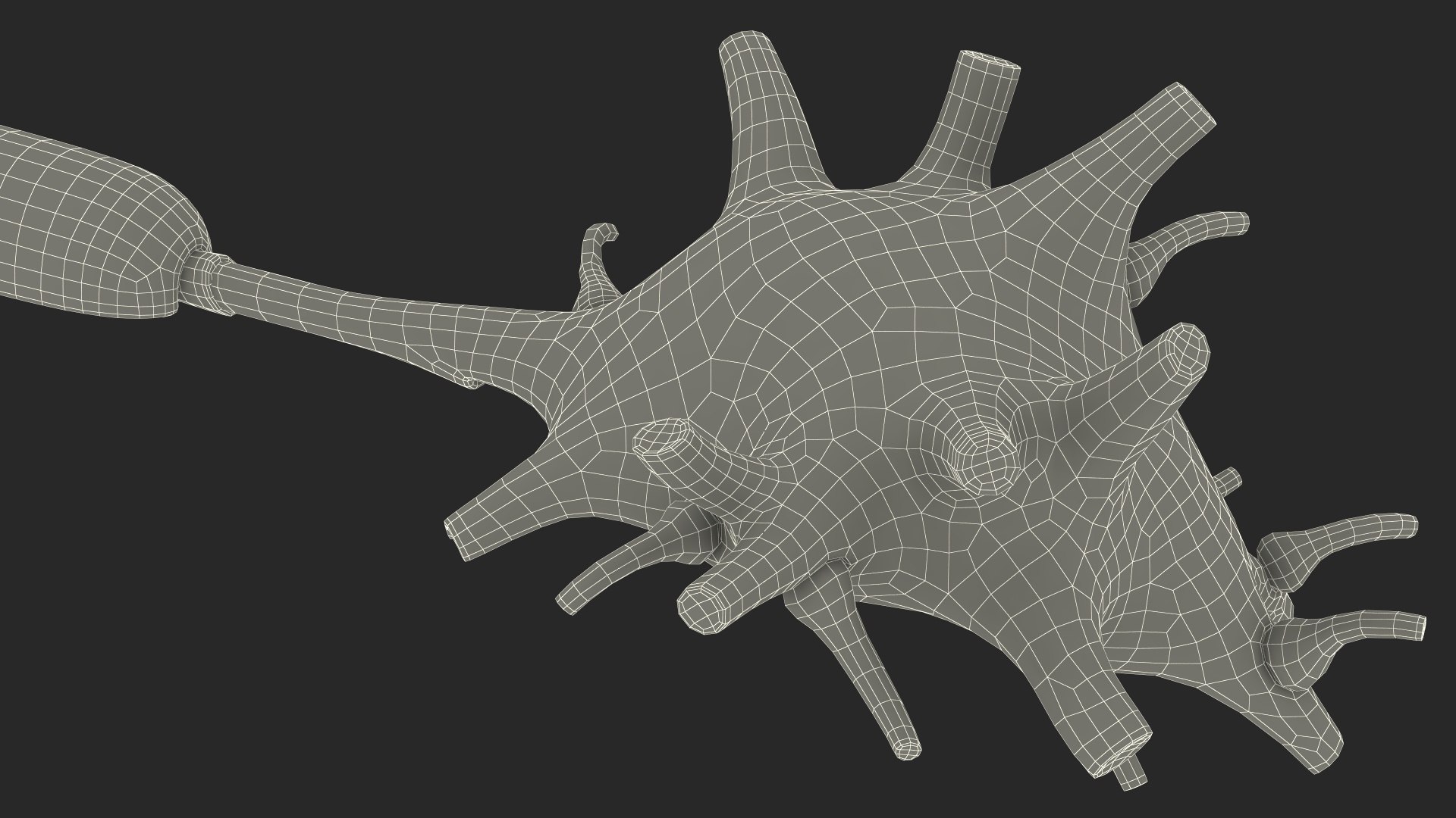 Human Brain Neuron Cross-Section Plastic 3D model - TurboSquid 2059379