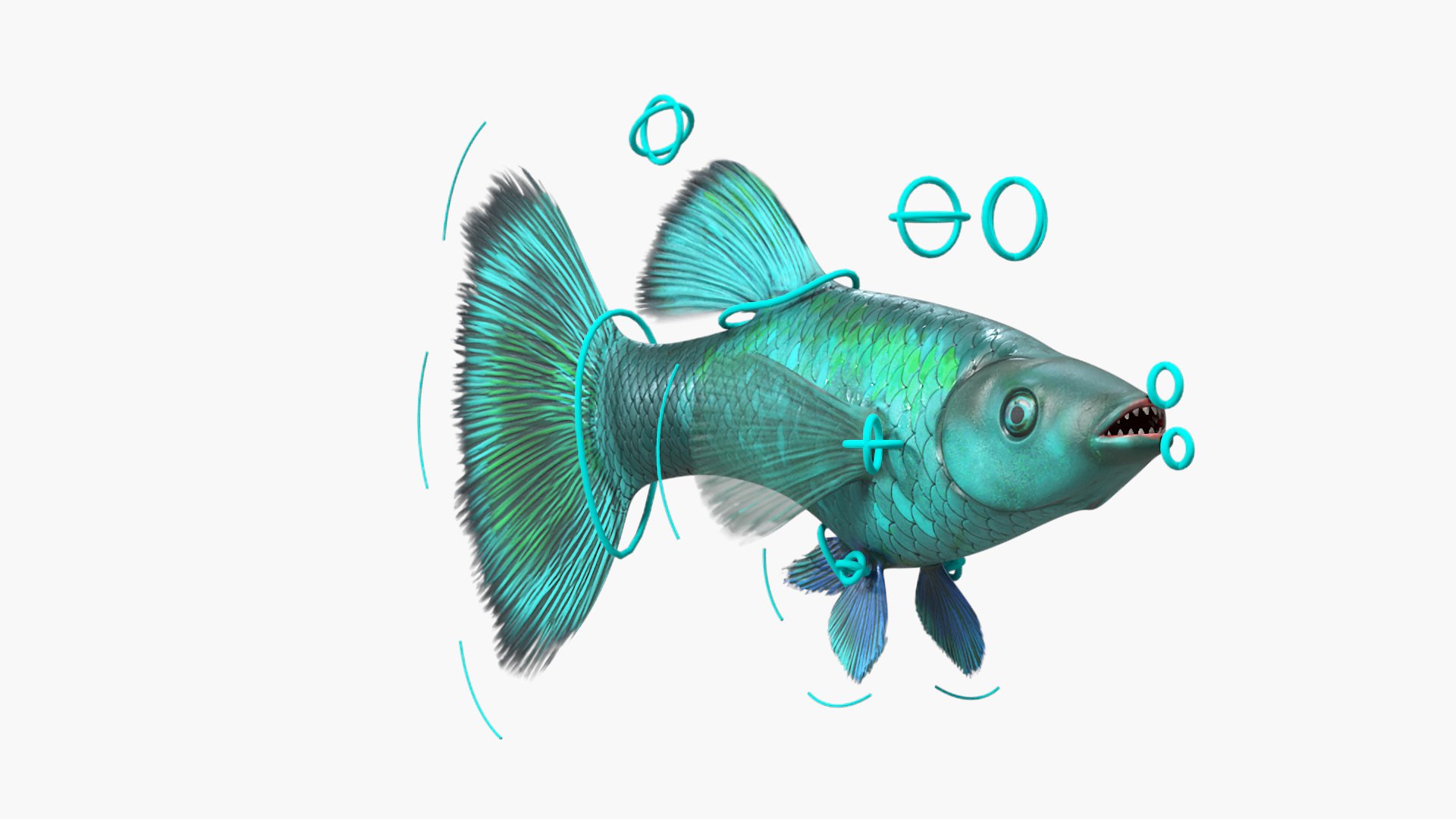 3D Model Guppy Fish Malachite Rigged - TurboSquid 2268750