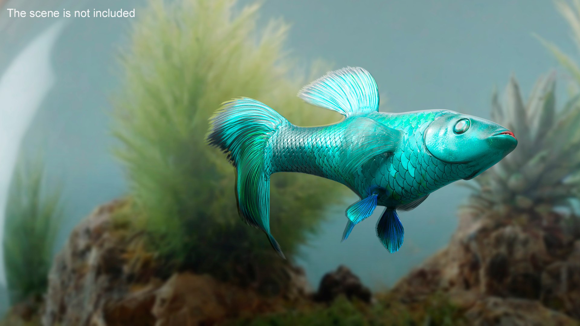 3D Model Guppy Fish Malachite Rigged - TurboSquid 2268750
