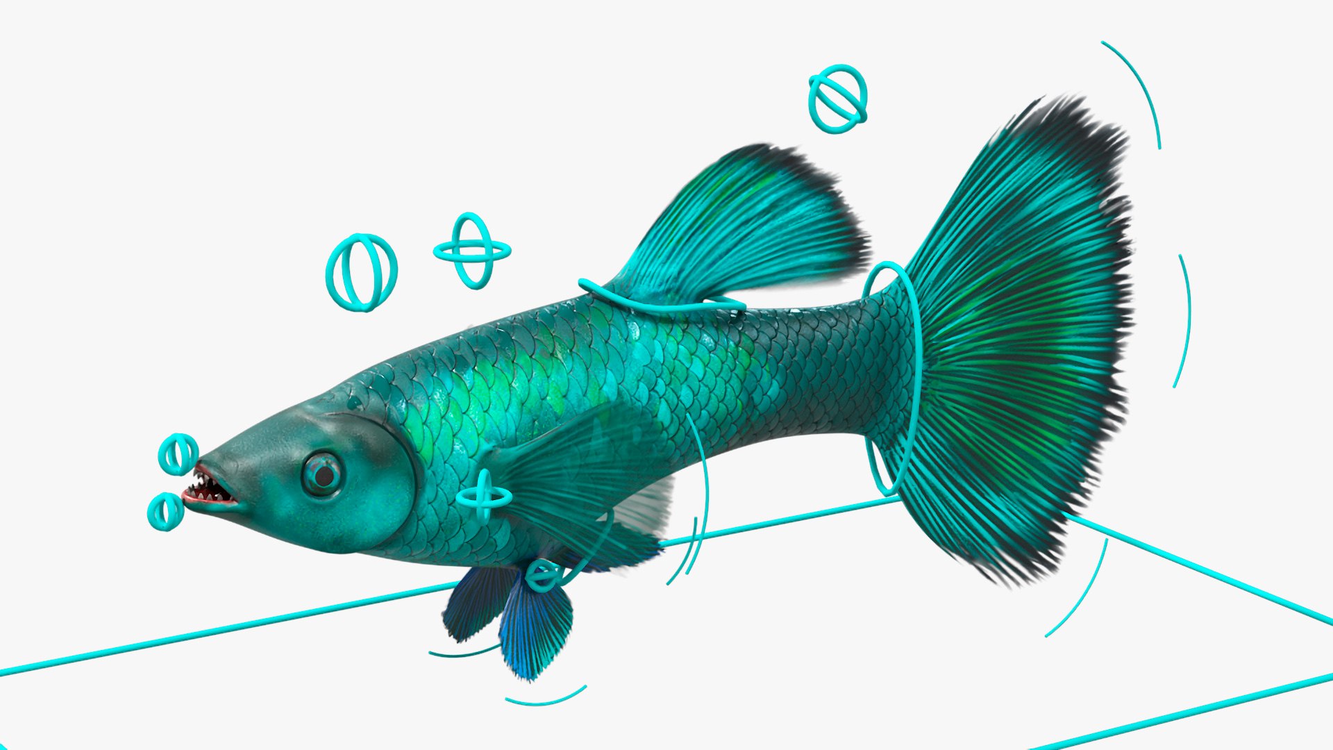 3D Model Guppy Fish Malachite Rigged - TurboSquid 2268750