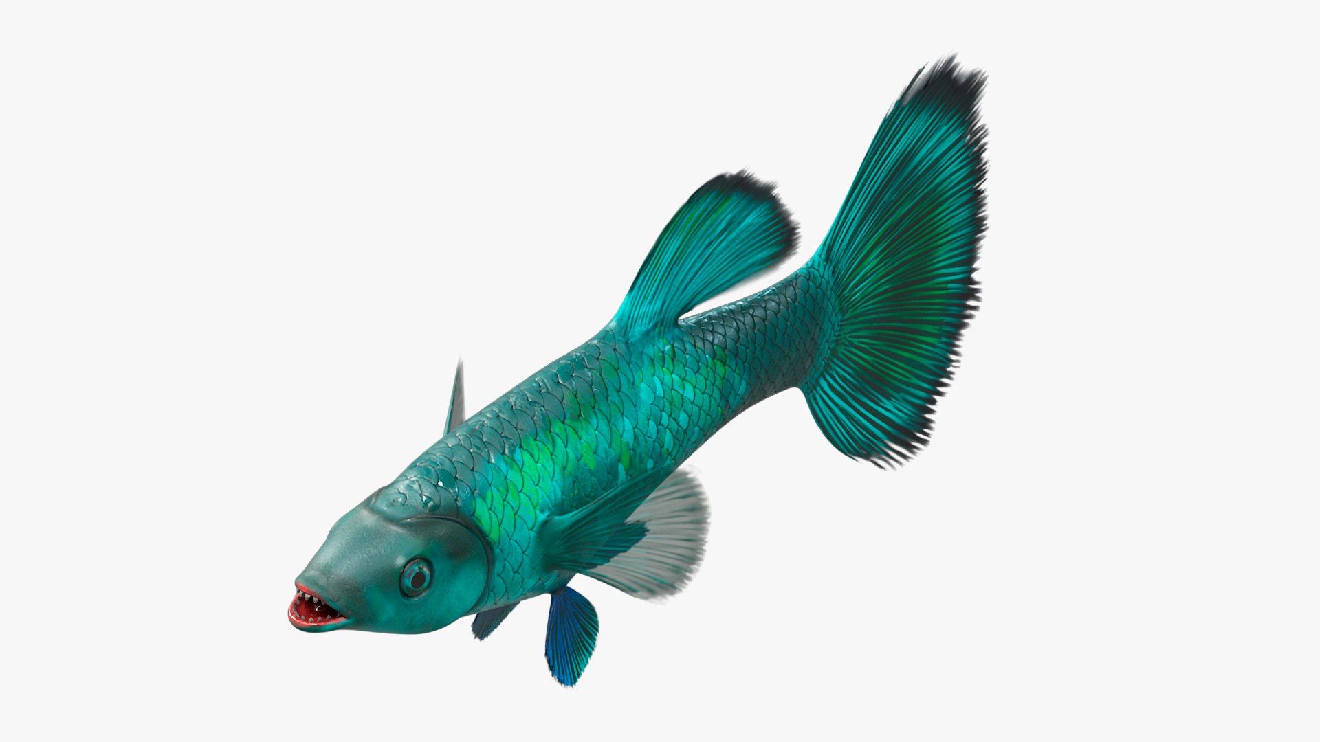 3D Model Guppy Fish Malachite Rigged - TurboSquid 2268750