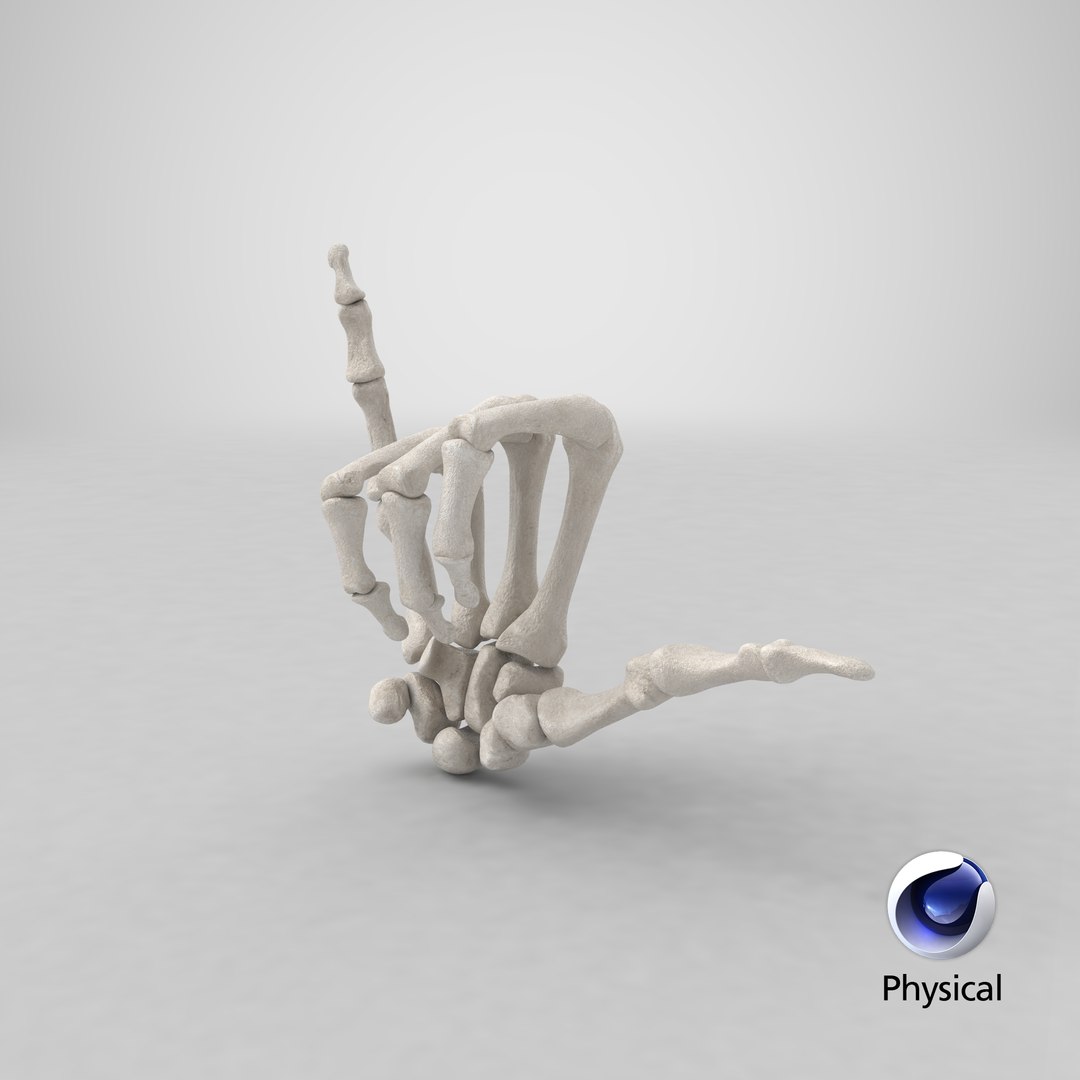3D Real Human Hand Bones - TurboSquid 1614331