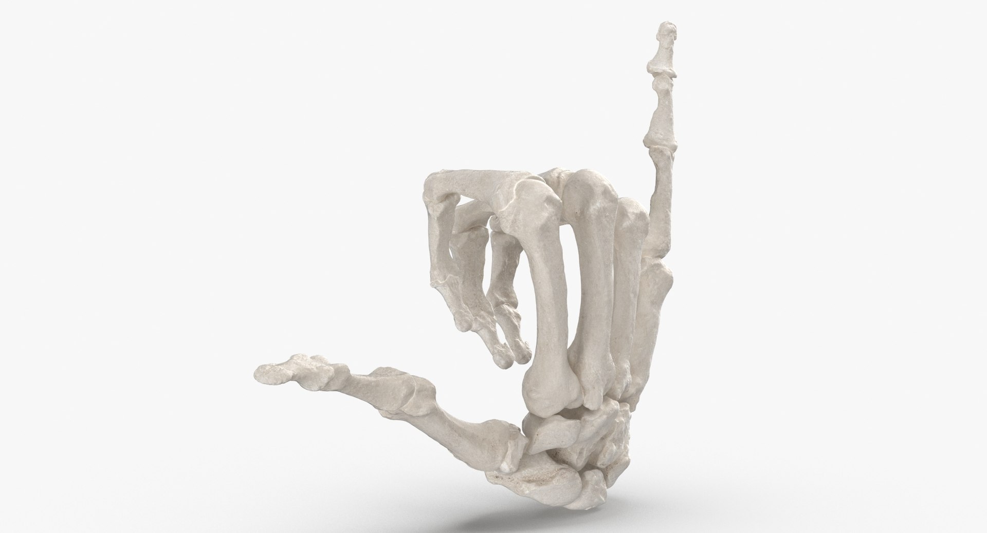 3D Real Human Hand Bones - TurboSquid 1614331