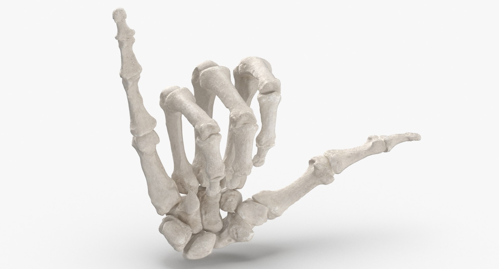 3D Real Human Hand Bones - TurboSquid 1614331