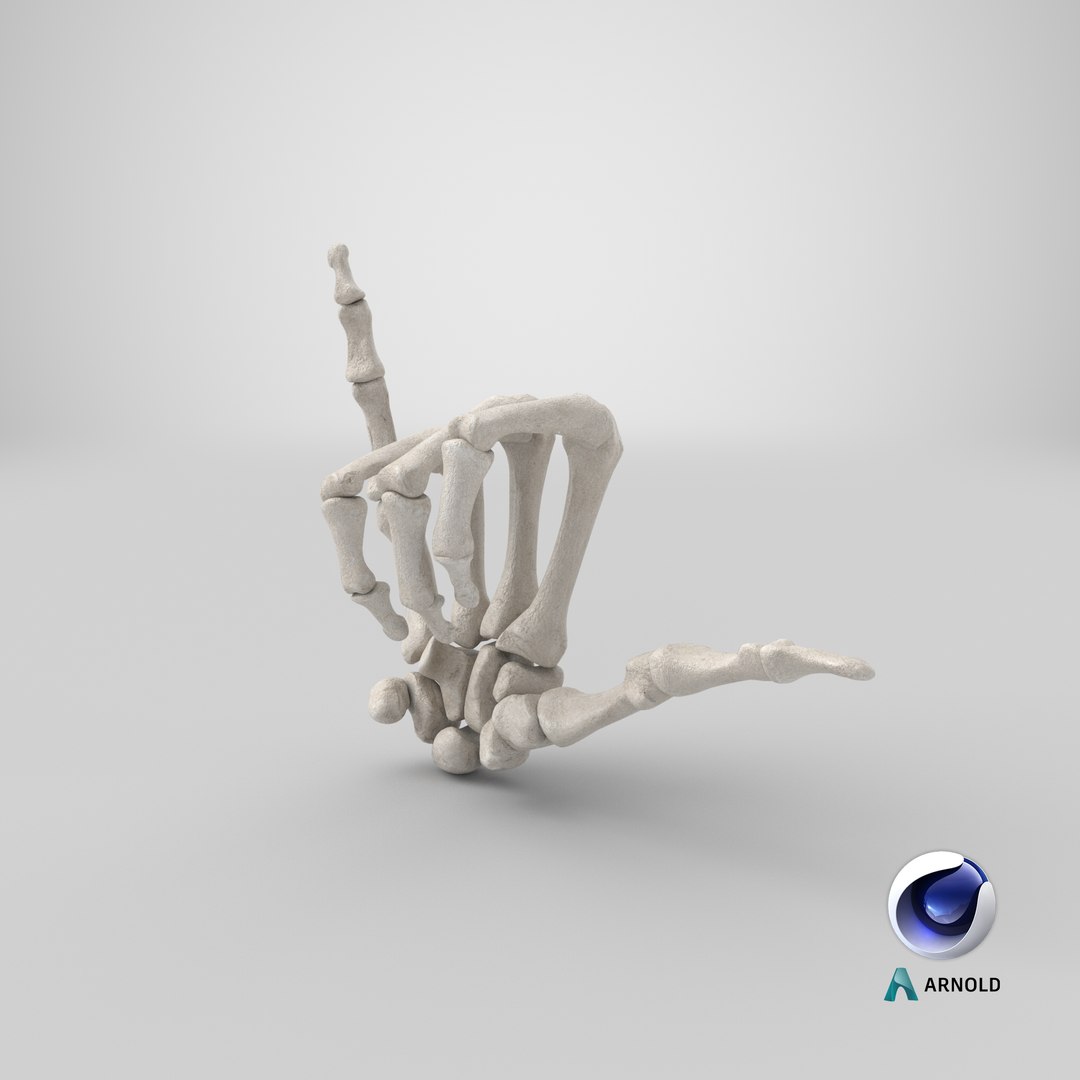 3D Real Human Hand Bones - TurboSquid 1614331