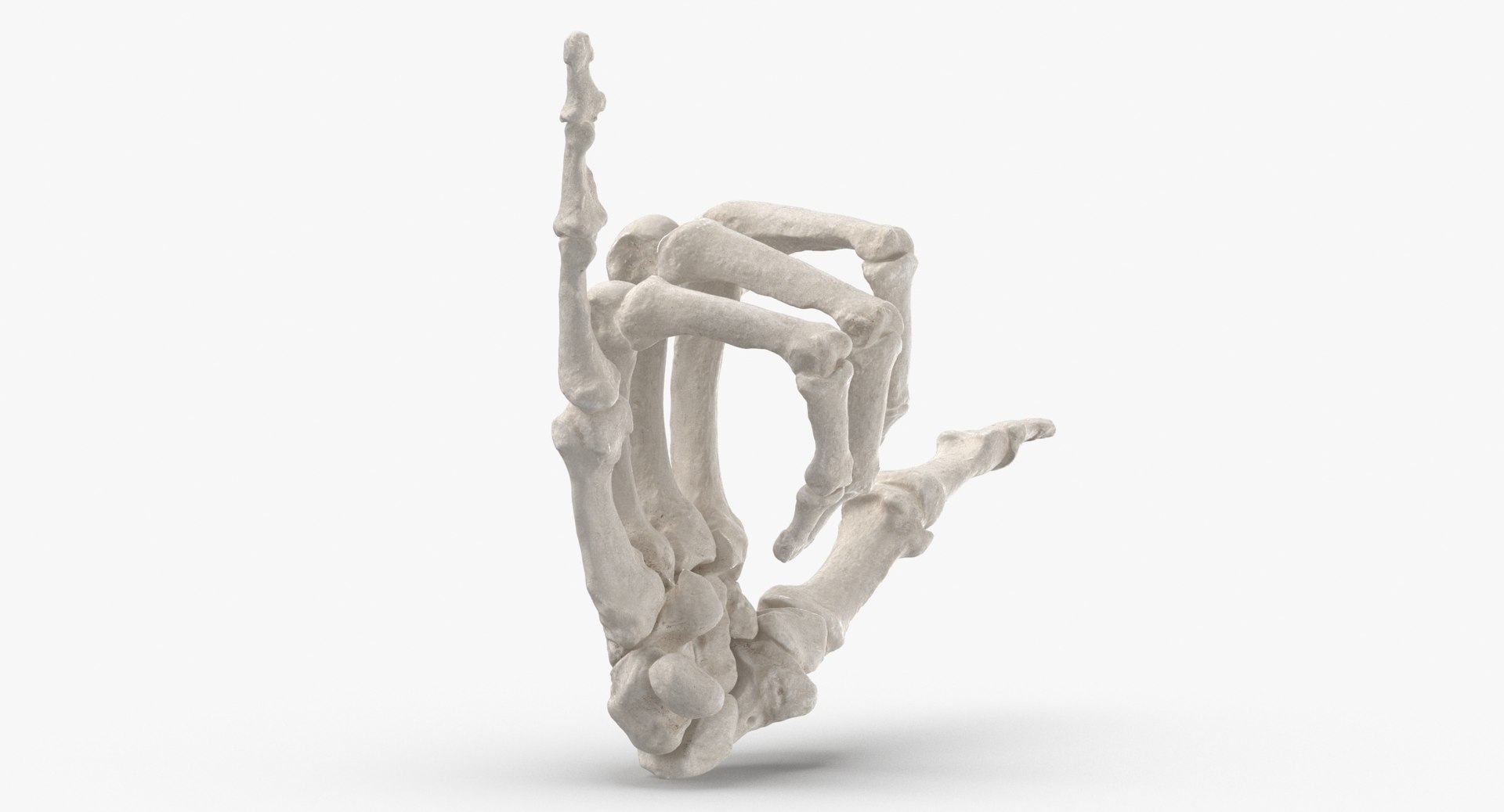 3D Real Human Hand Bones - TurboSquid 1614331