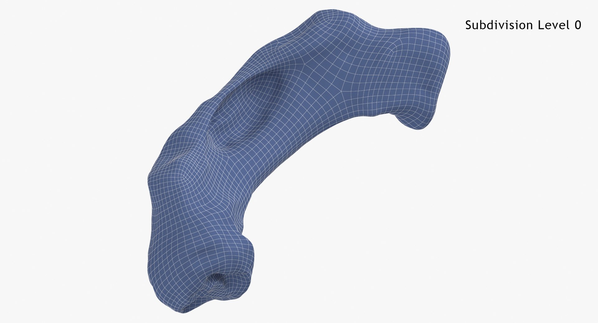 3D Domestic Dog Hyoid Apparatus Basihyoid Bone 01 model - TurboSquid ...