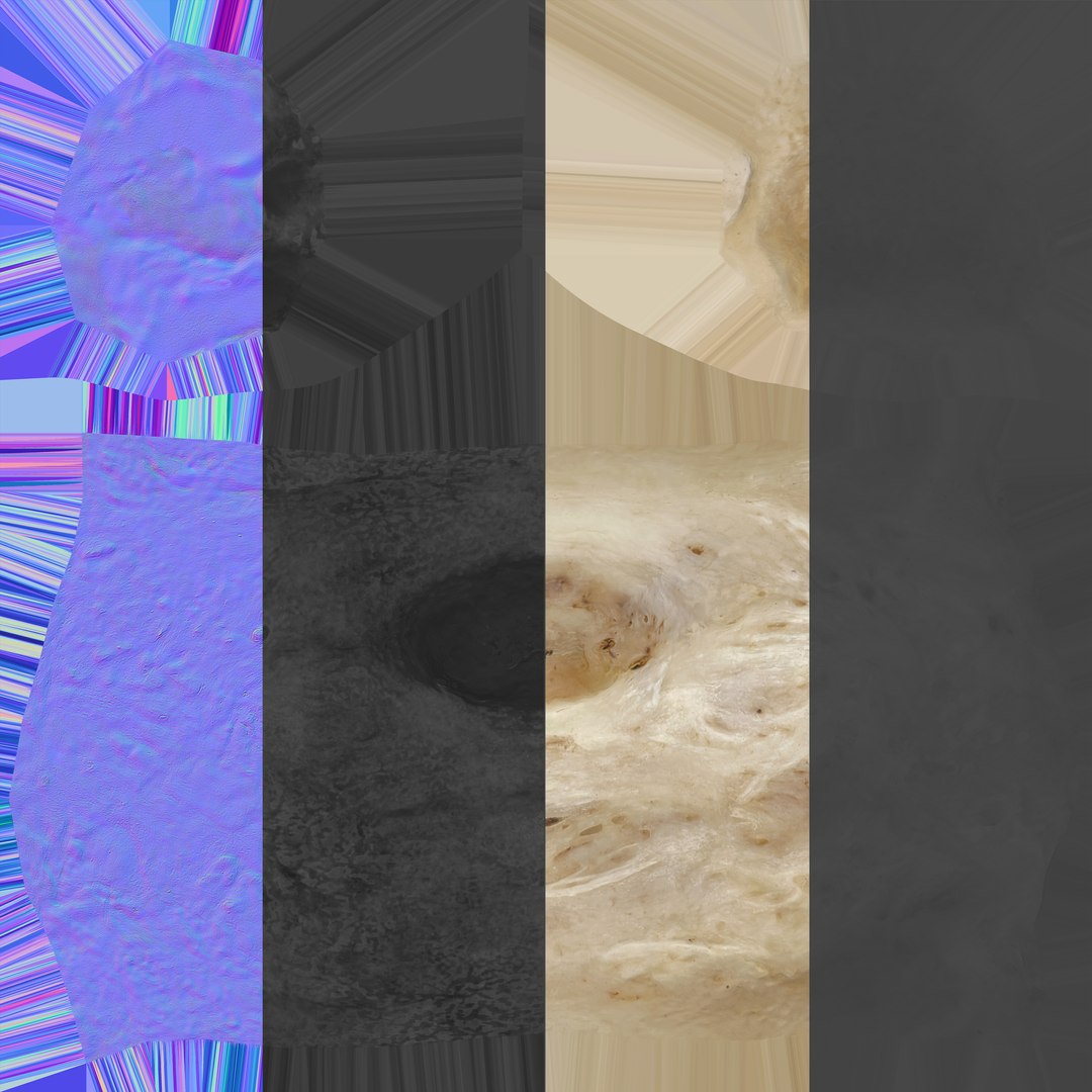 3D Domestic Dog Hyoid Apparatus Basihyoid Bone 01 model - TurboSquid ...