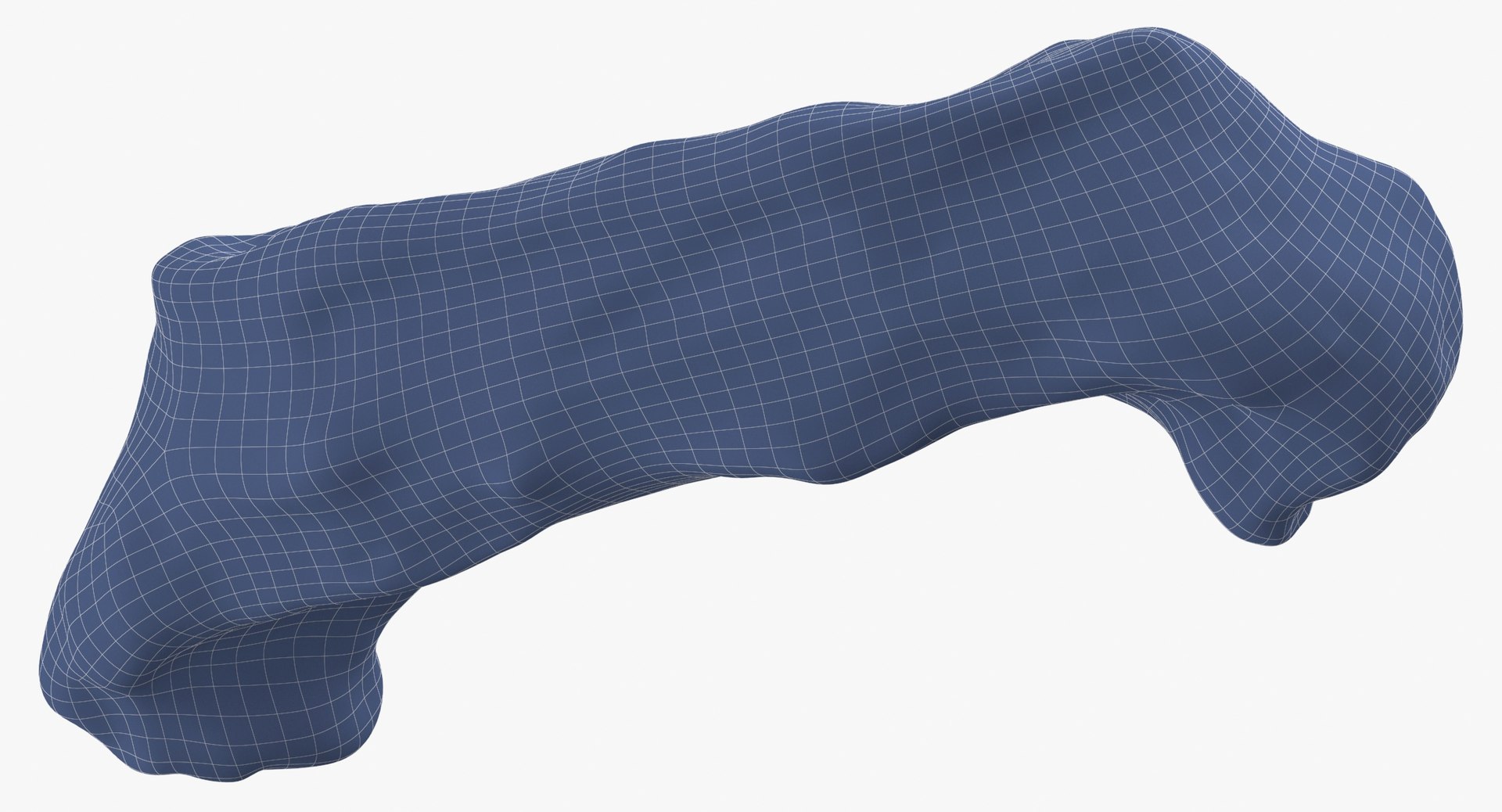 3D Domestic Dog Hyoid Apparatus Basihyoid Bone 01 model - TurboSquid ...