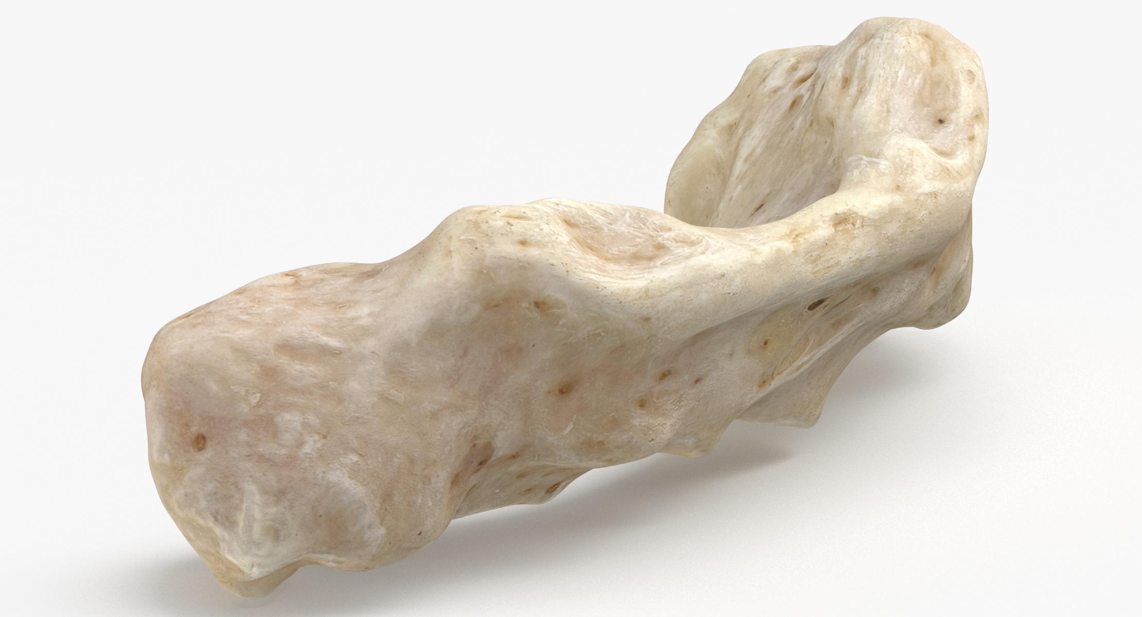 modelo 3d Domestic Dog Hyoid Apparatus Basihyoid Bone 01 - TurboSquid ...