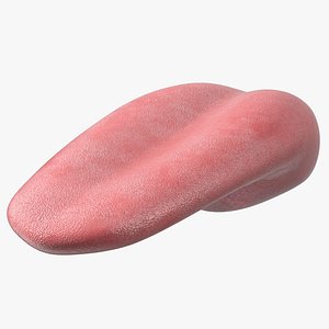 Tongue Texture 3d