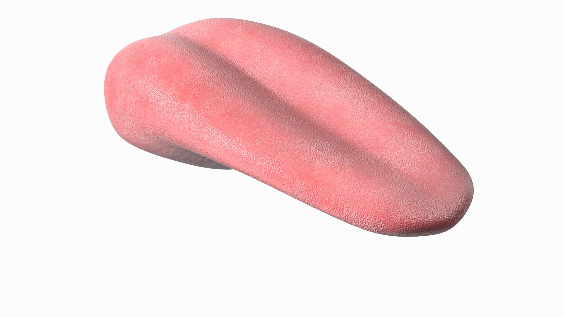 Human Tongue Rigged Model - TurboSquid 2128243