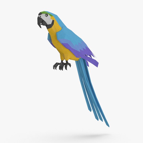 Cartoon Parrot 3D Models for Download | TurboSquid