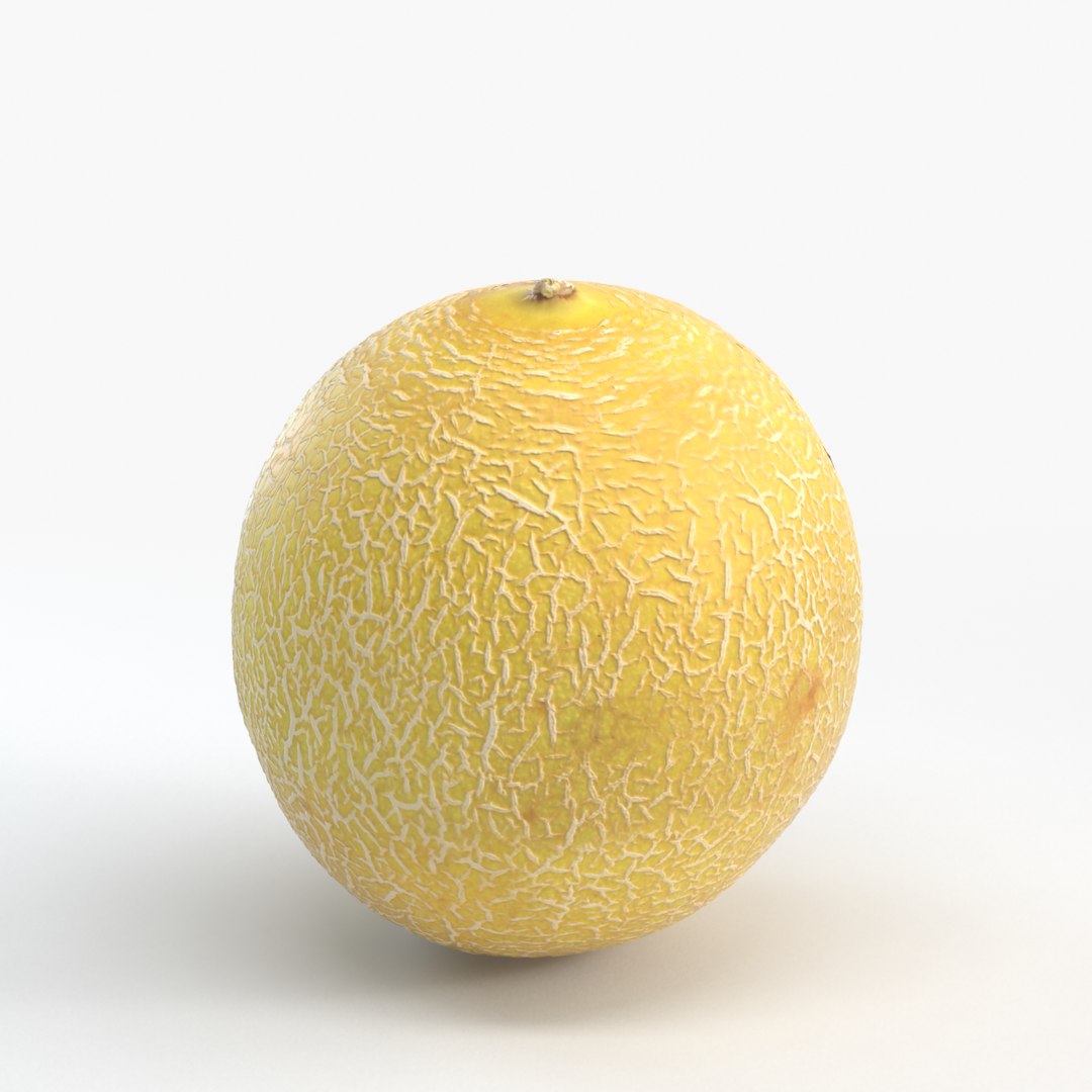 3d Melons Model