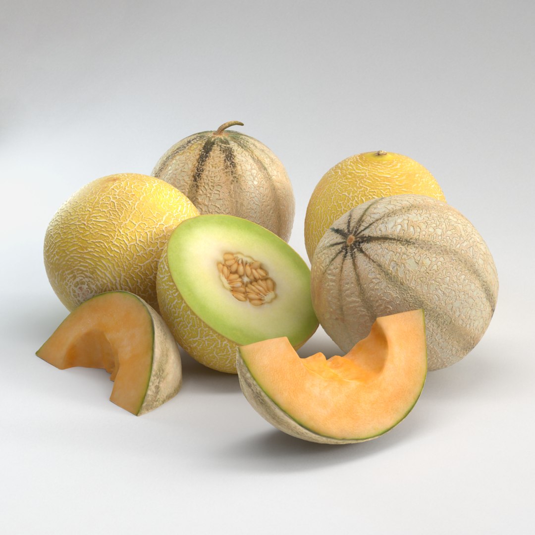3d Melons Model