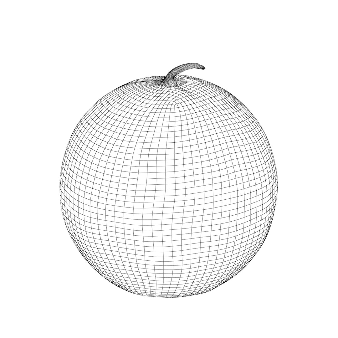 3d Melons Model