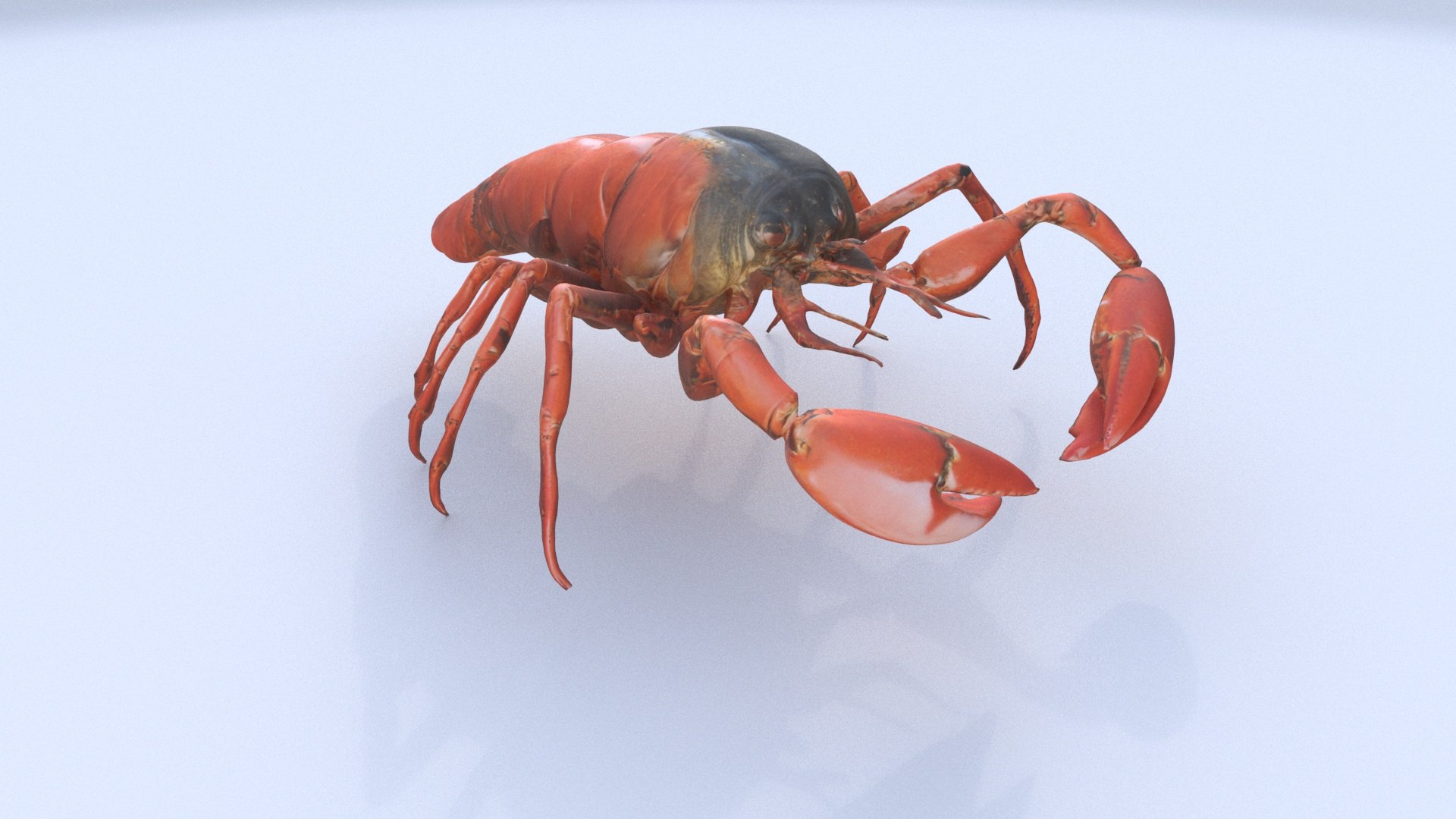 3D Model Lobster - TurboSquid 2338815