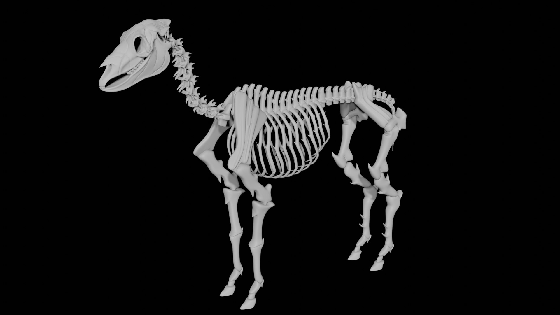 3D Farm And Domestic Animal Skeletons - TurboSquid 1966298