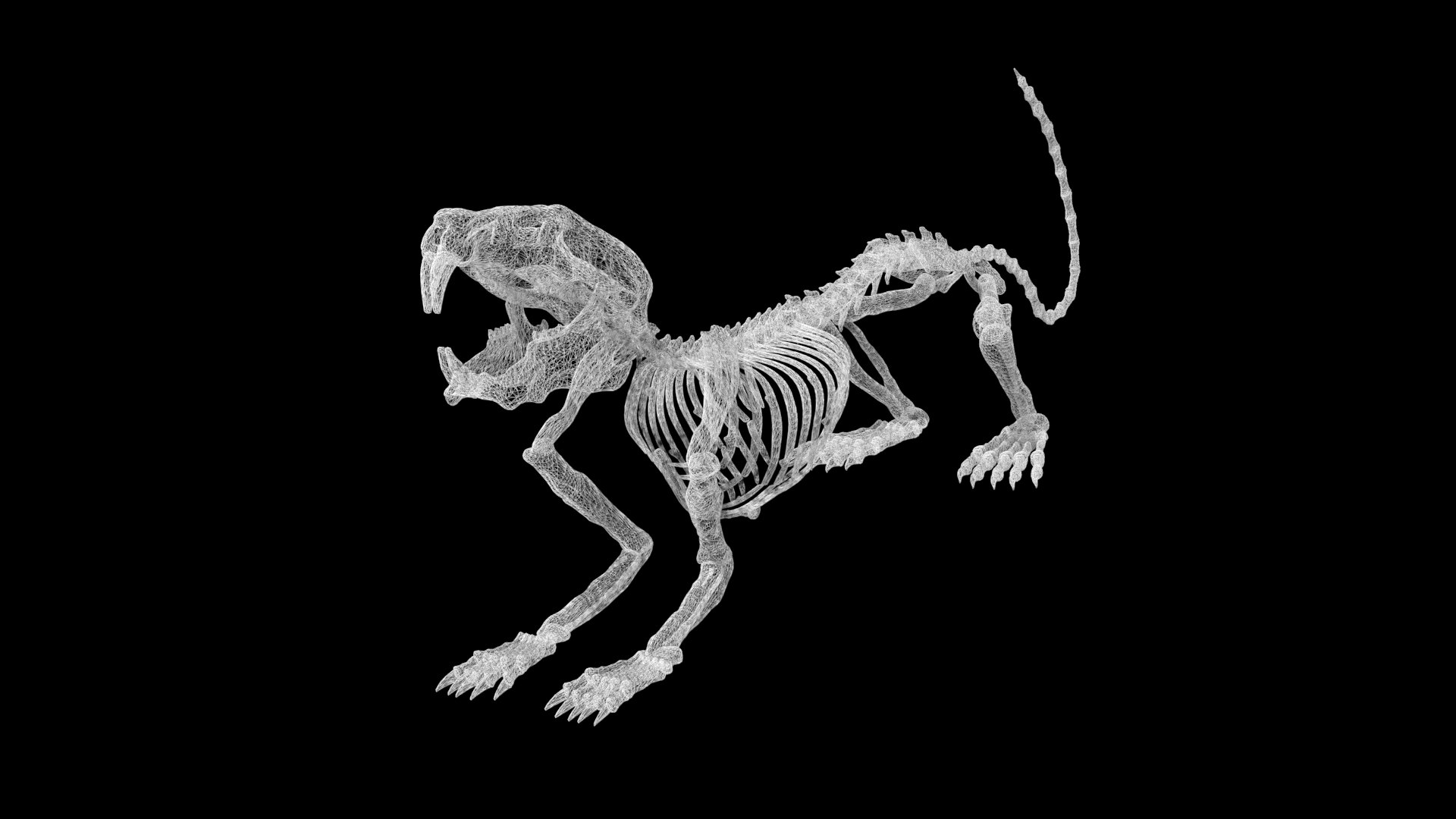 3D Farm And Domestic Animal Skeletons - TurboSquid 1966298