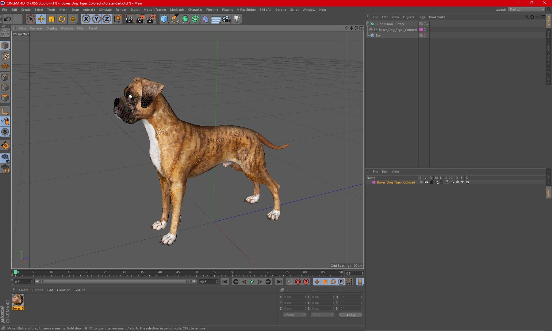 3D Boxer Dog Tiger Colored Model - TurboSquid 2250123