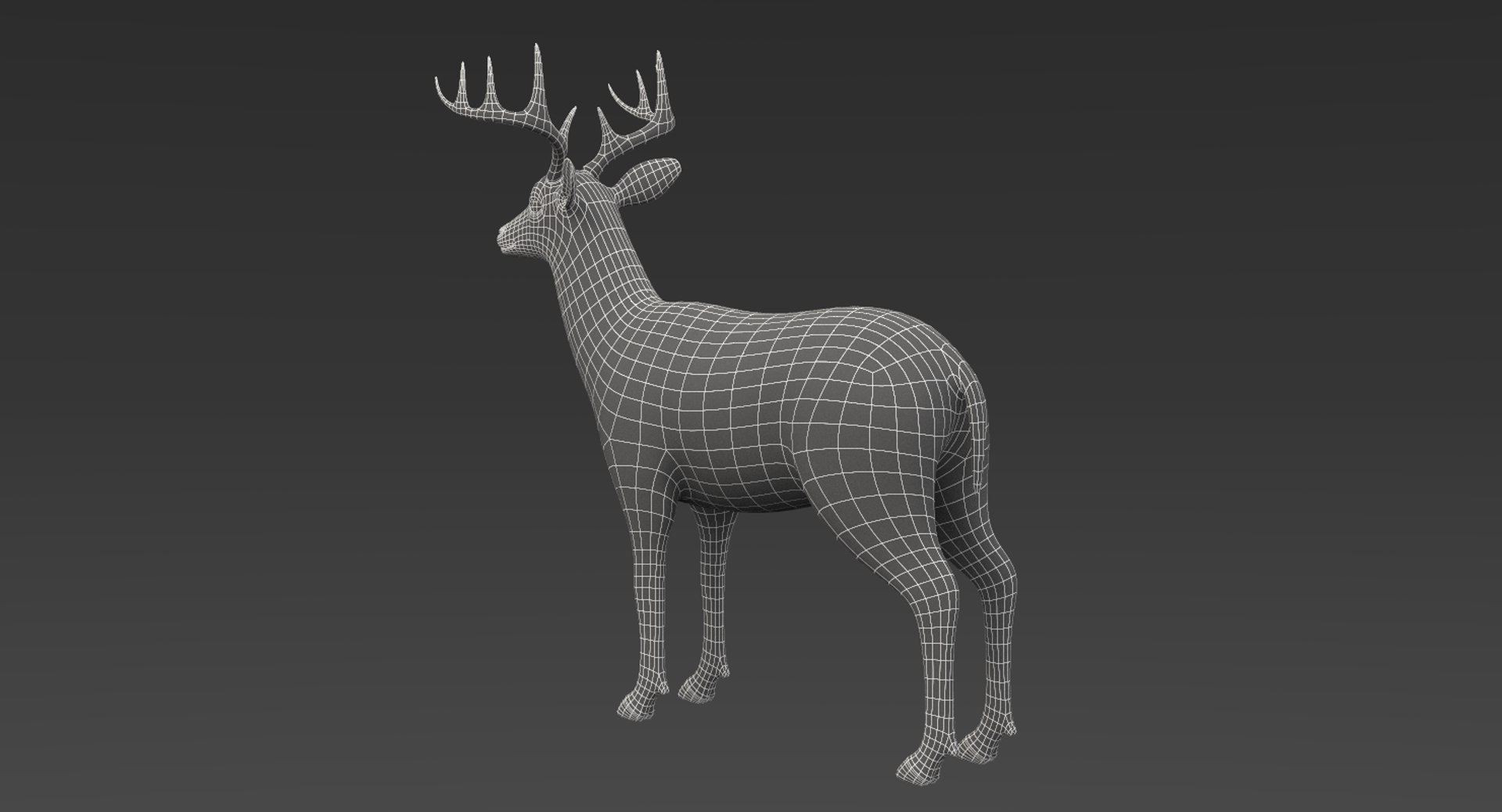 3D white tailed deer 2 - TurboSquid 1266831