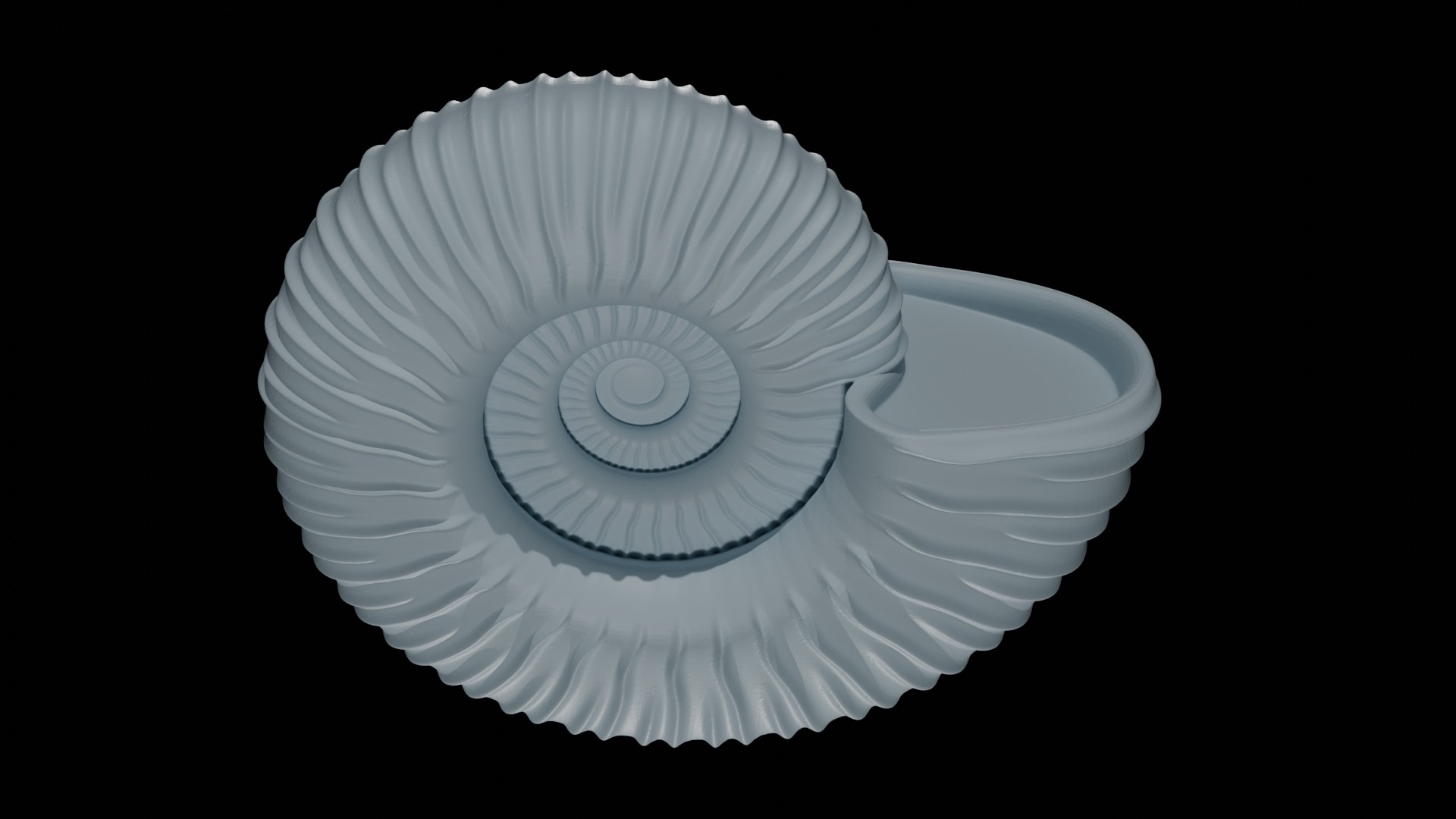 3D Ammonoid Shell With Intercalary Ribs - TurboSquid 2294975
