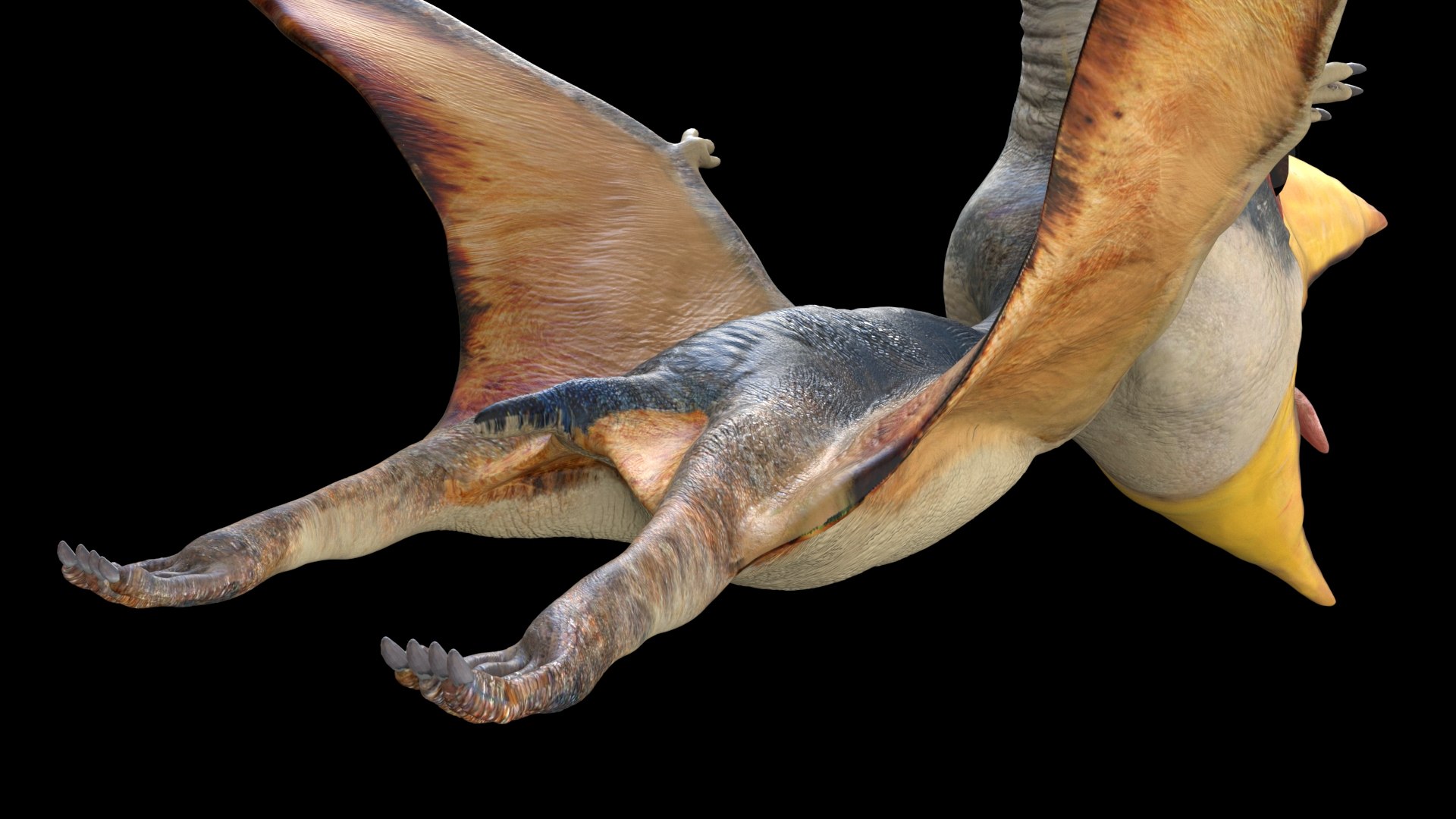 3D Model Pteranodon Rigged Dinosaurs - TurboSquid 1494046